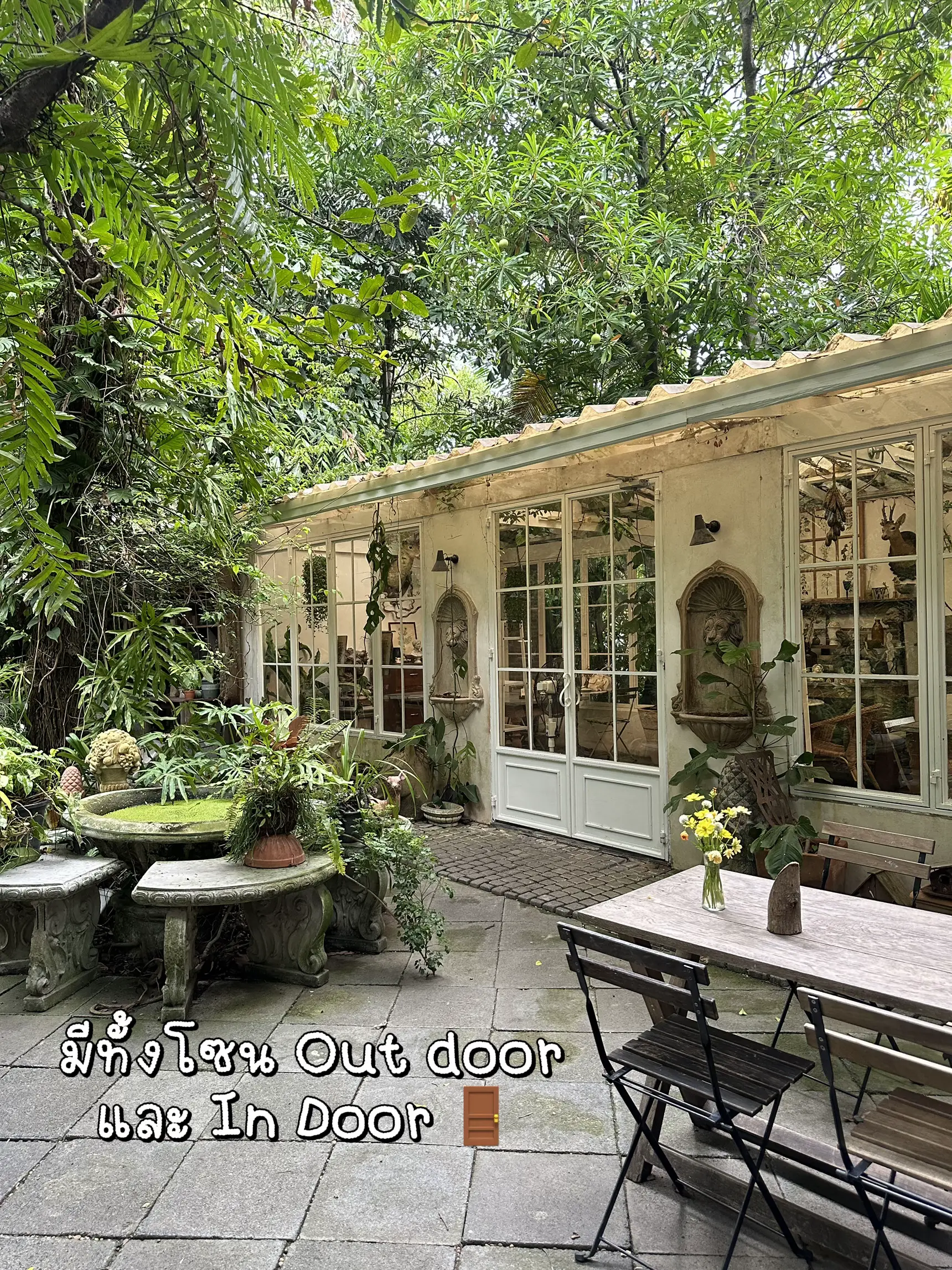 Little Tree Garden ย่านสามพราน นครปฐม🪴 | แกลเลอรีที่โพสต์โดย Kunview | Lemon8