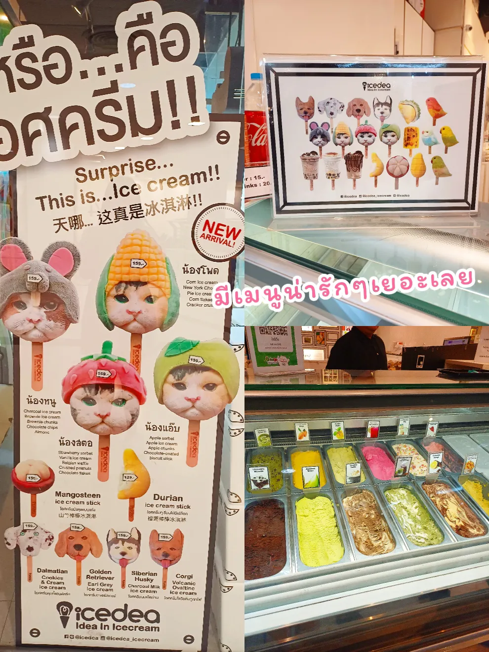 "Hippo Choco" เมนูน่ารัก อร่อยด้วย | แกลเลอรีที่โพสต์โดย พี่กินแซ่บ🌶 | Lemon8