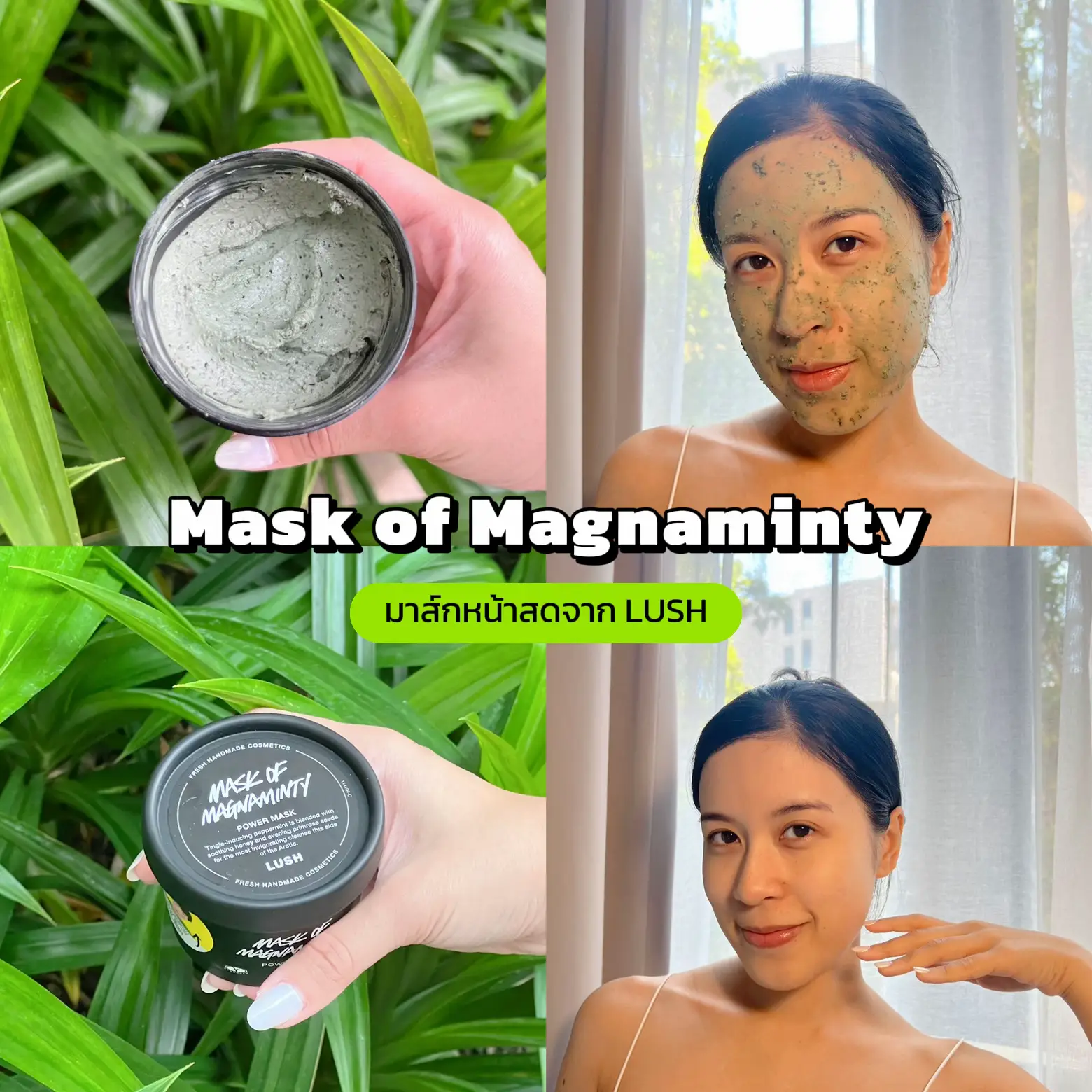 มาส์กโกโก้สดจาก LUSH ที่ชาวผิวแห้งแพ้ง่ายต้องเลิฟ! 🍫💕 | แกลเลอรีที่โพสต์โดย cinmrd | Lemon8