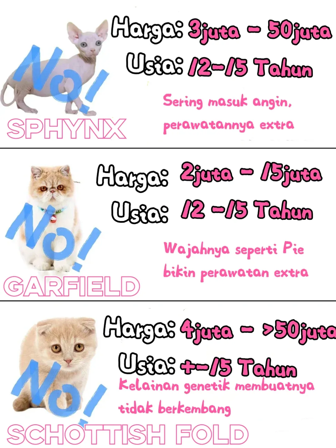 😺JENIS KUCING BISA MENENTUKAN USIANYA LOH 💞 | Galeri diposting oleh ...