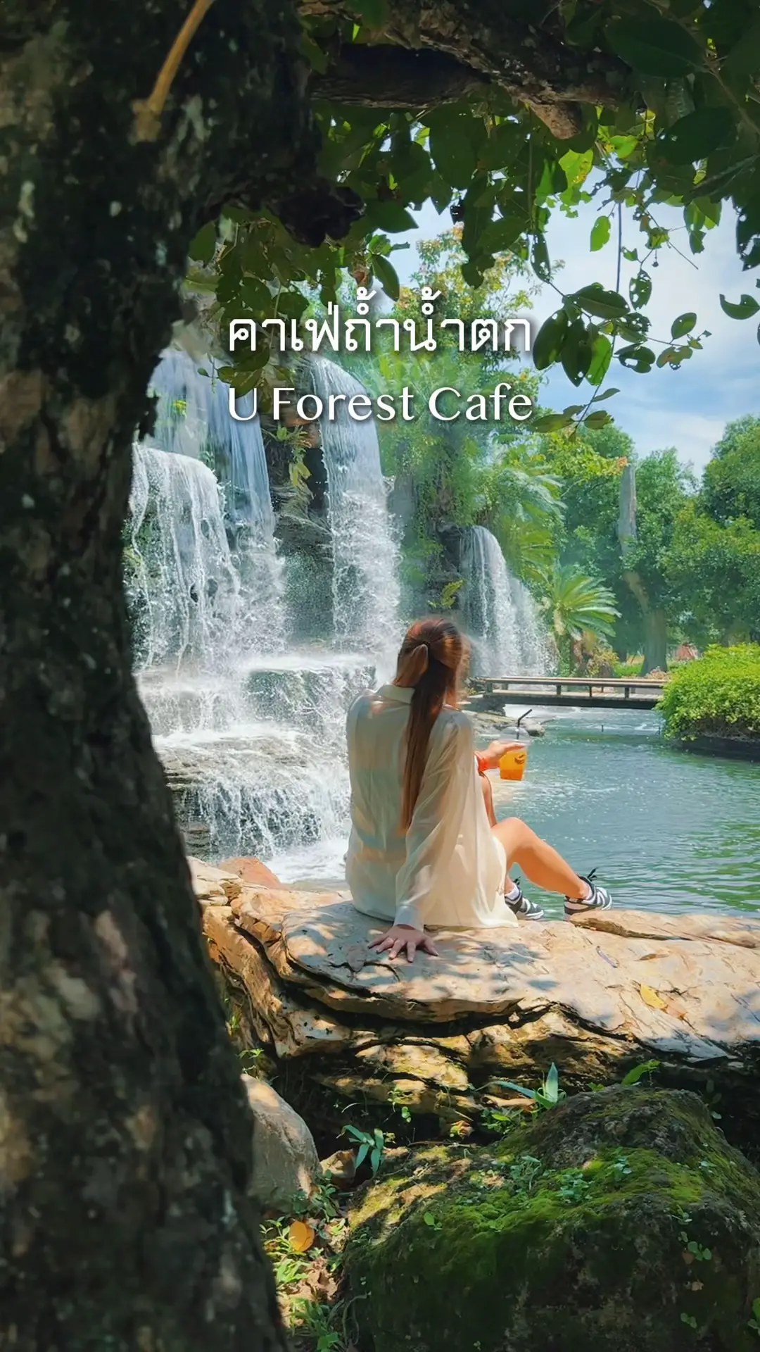 U Forests Cafe เทศบาล 1 ปากน้ำประแส, อำเภอแกลง ระยอง | วิดีโอที่เผยแพร่โดย HRพาเที่ยว | Lemon8