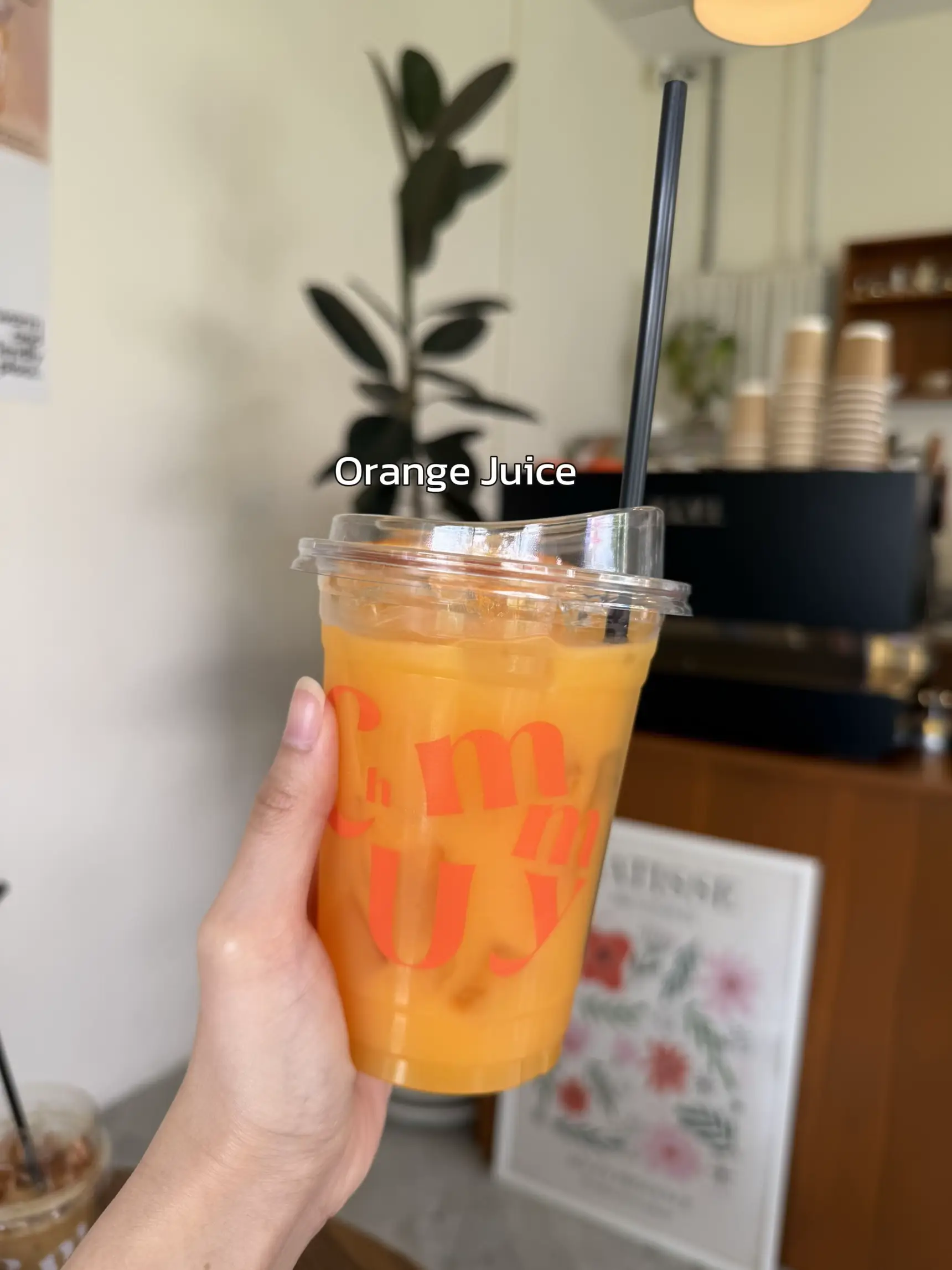 Chummy Cof: คาเฟ่ขนมอร่อย ราคาไม่แรง ที่คุณต้องลอง!