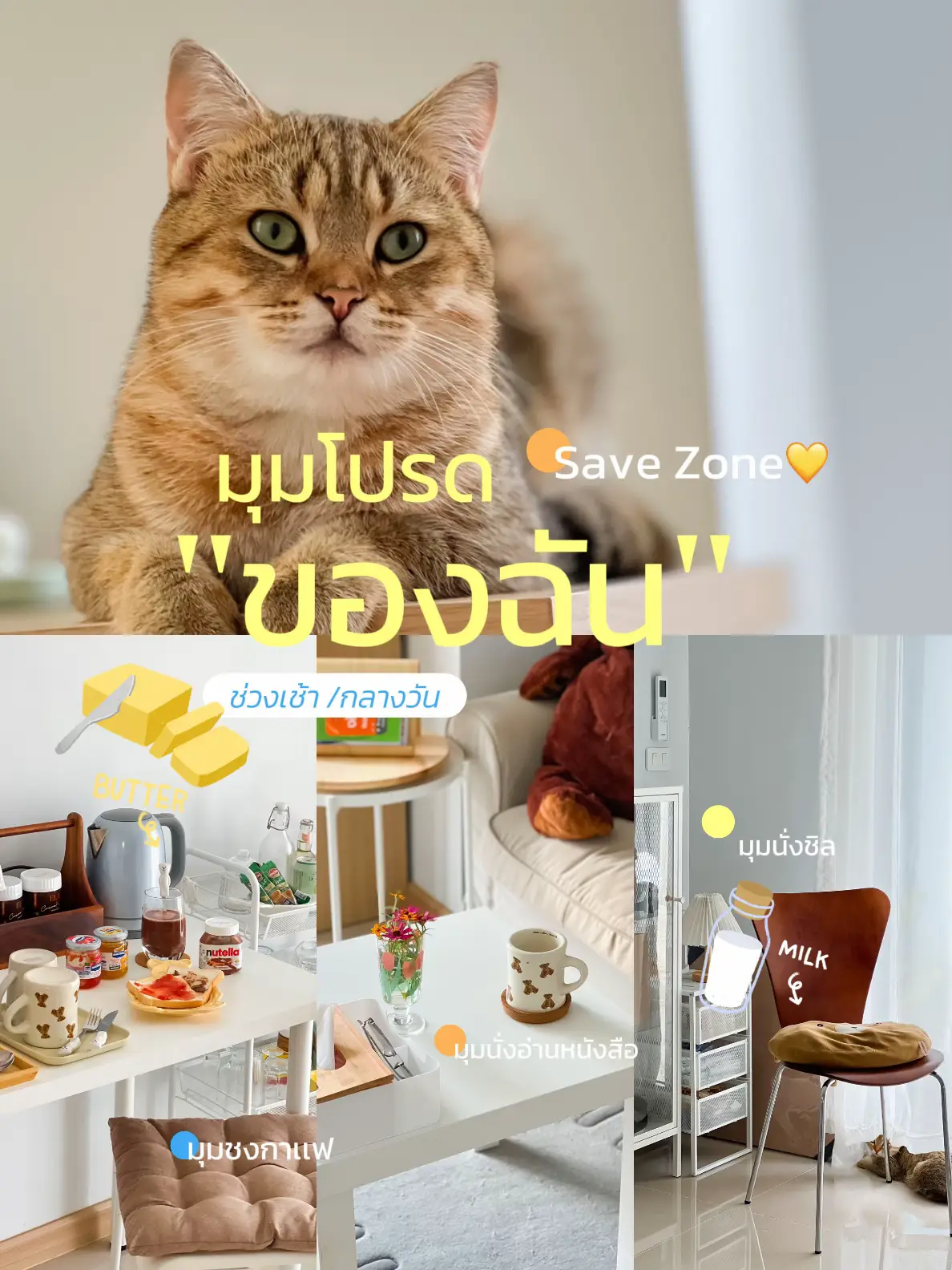เเชร์มุมโปรด''ของฉัน'' #SaveZone ตอนเช้าๆ🌤️🎄 | แกลเลอรีที่โพสต์โดย ...