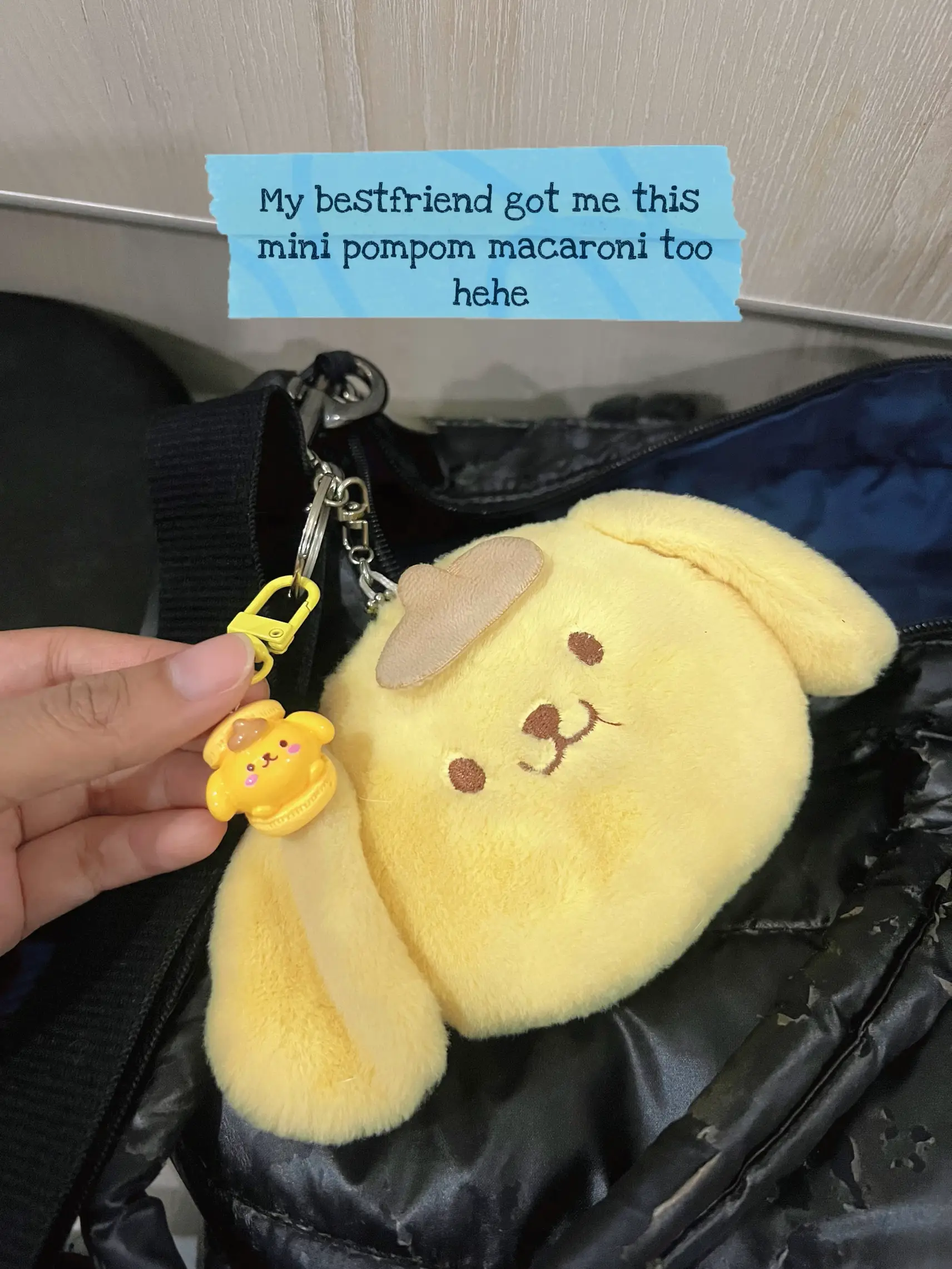 Sanrio lover: my pompompurin collection! 💛 | Galeri disiarkan oleh ...