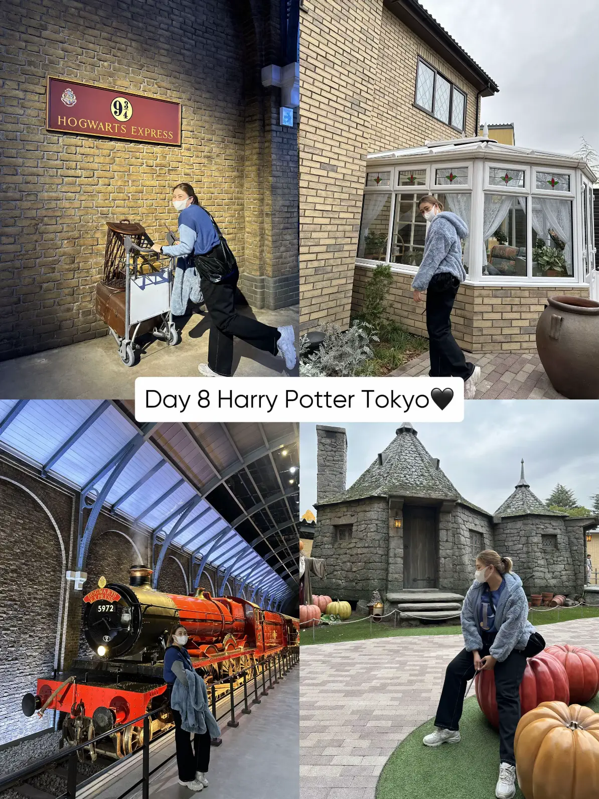 Japan outfils 8 Days 8 looks. 🇯🇵💕 | แกลเลอรีที่โพสต์โดย mmew.ww | Lemon8