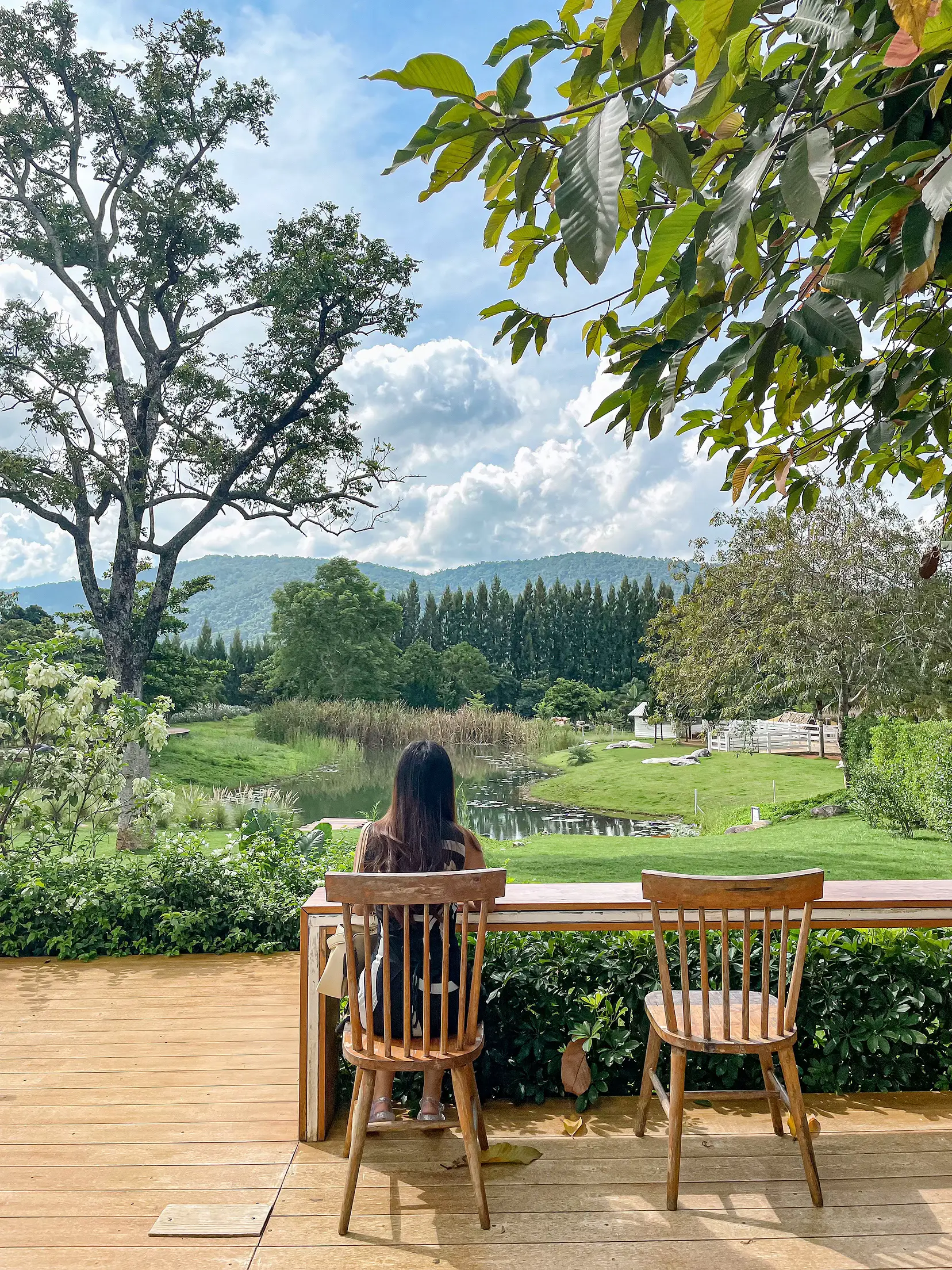 คาเฟ่ฟีลเมืองนอกที่เขาใหญ่ | BUCOLIC Cafe⛰️🍃 | แกลเลอรีที่โพสต์โดย ...