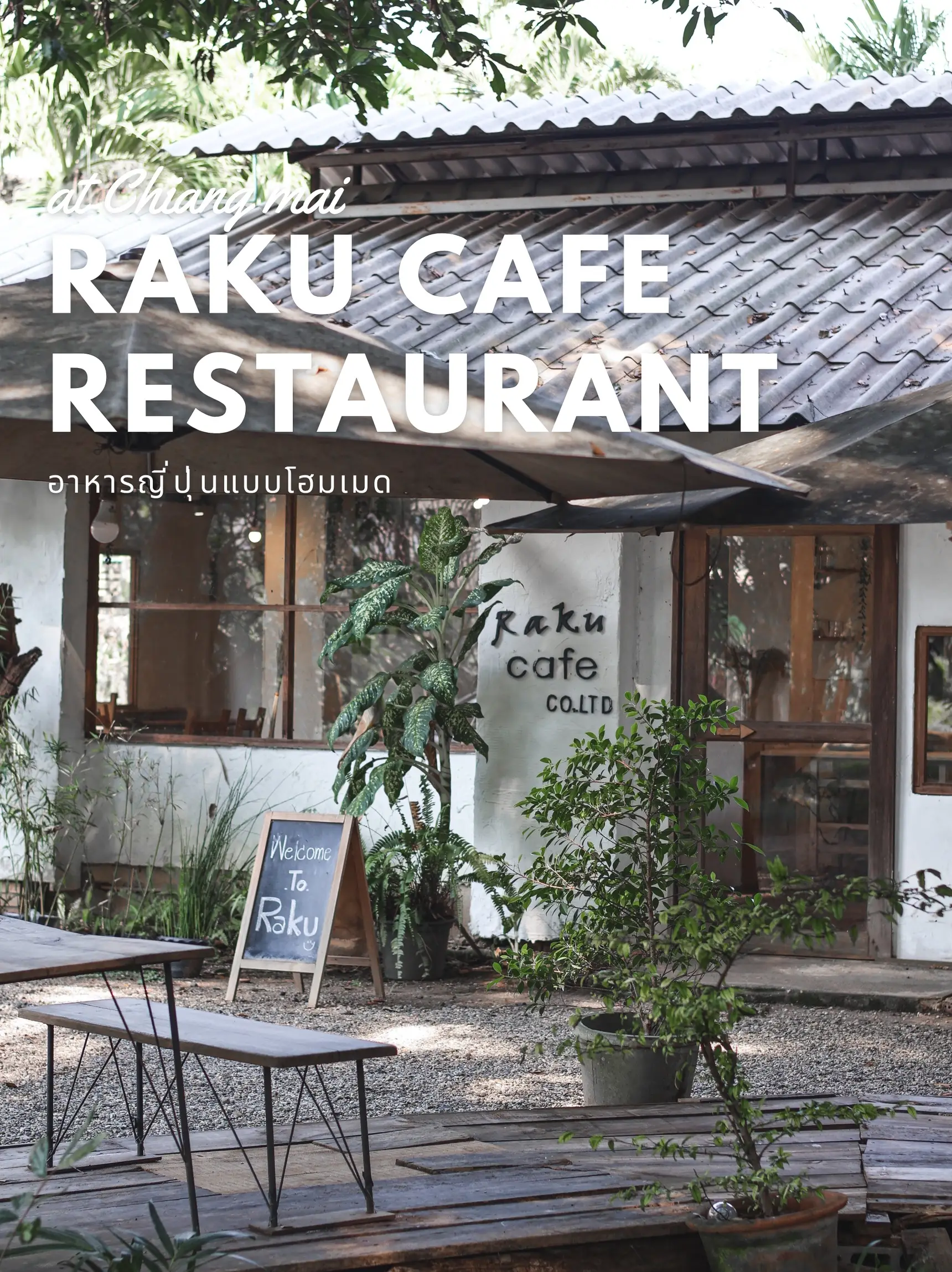 Raku cafe Restaurant : ร้านอาหารญี่ปุ่น เชียงใหม่ | แกลเลอรีที่โพสต์โดย With.phichit | Lemon8