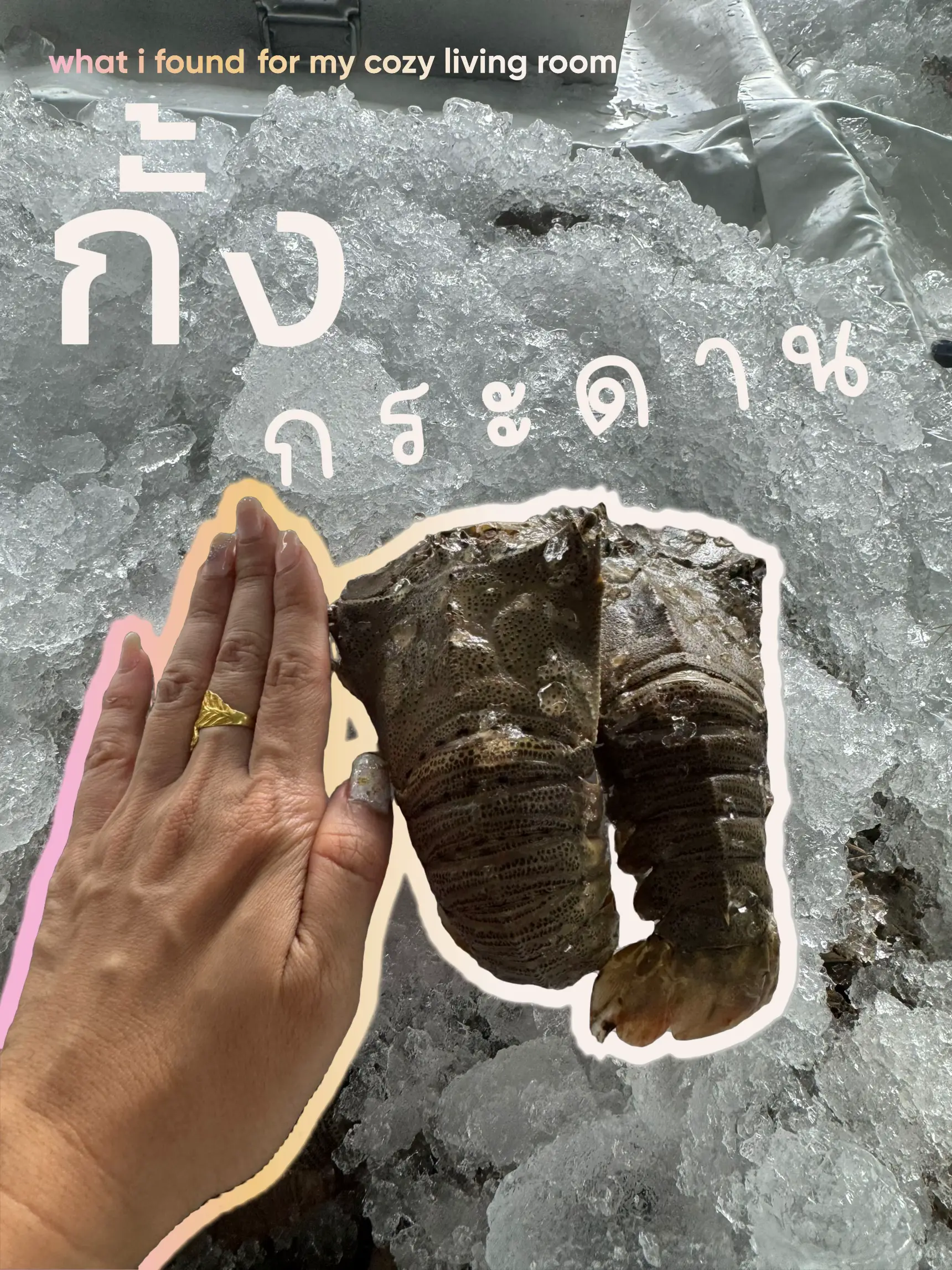 บุฟเฟ่ต์ 399 กุ้งมังกร | แกลเลอรีที่โพสต์โดย Cherry98♾チェリー🍒 | Lemon8