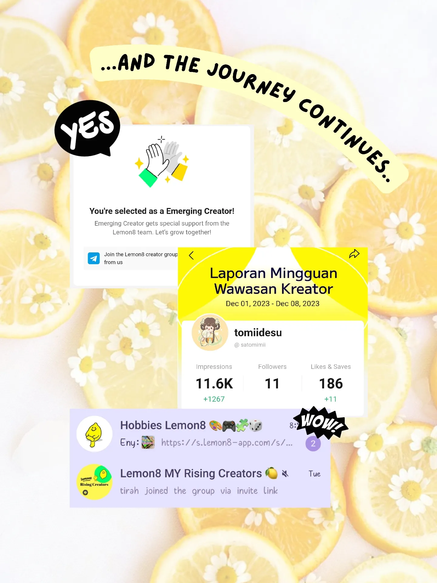 TAK SANGKA BOLEH JADI MACAM NI 😭 | Galeri disiarkan oleh tomiidesu | Lemon8