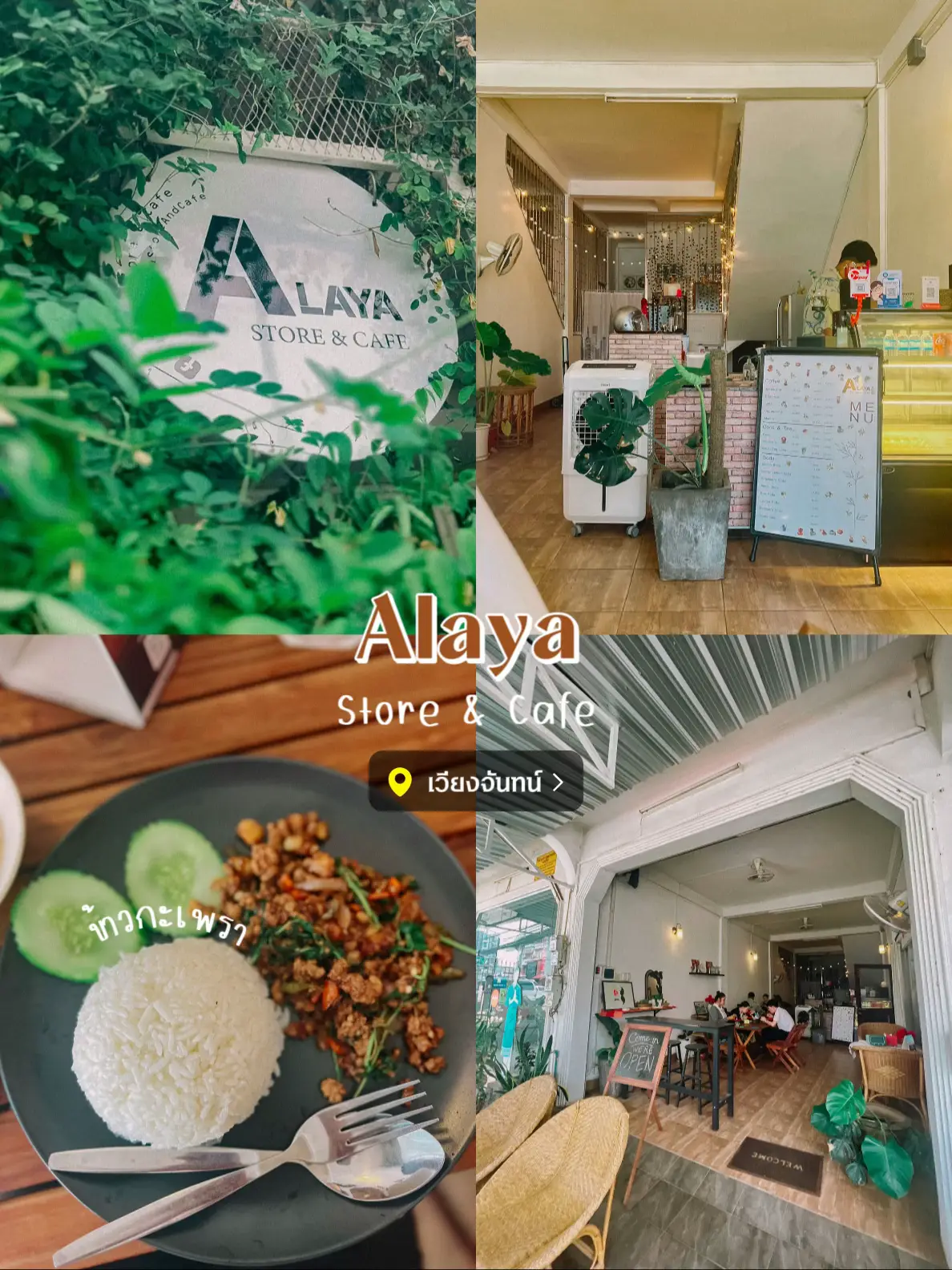 เที่ยวคาเฟ่ เวียงจันทน์ | Alaya Store & Cafe | แกลเลอรีที่โพสต์โดย Kaethw | Lemon8