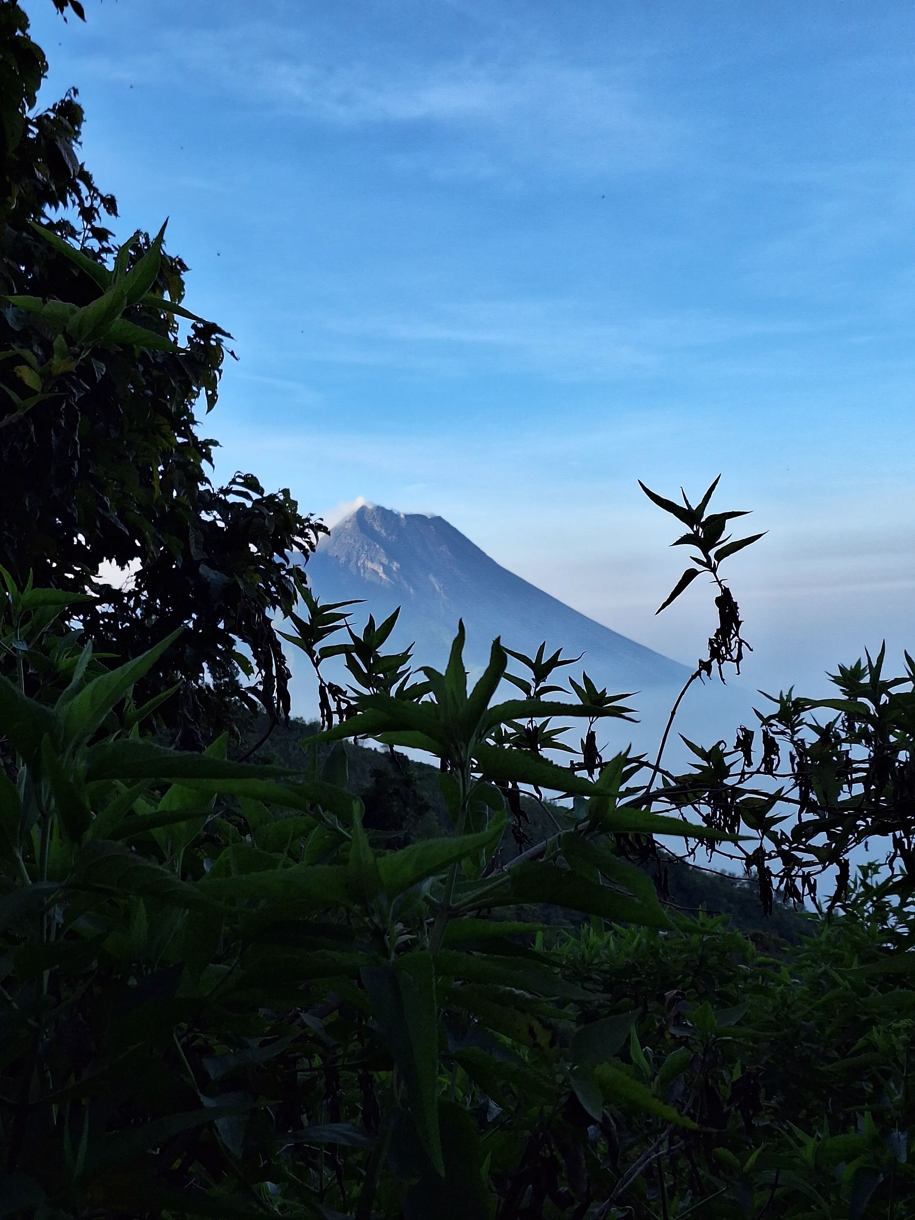 Merbabu View | Galeri diposting oleh Yenny Adriyanti | Lemon8
