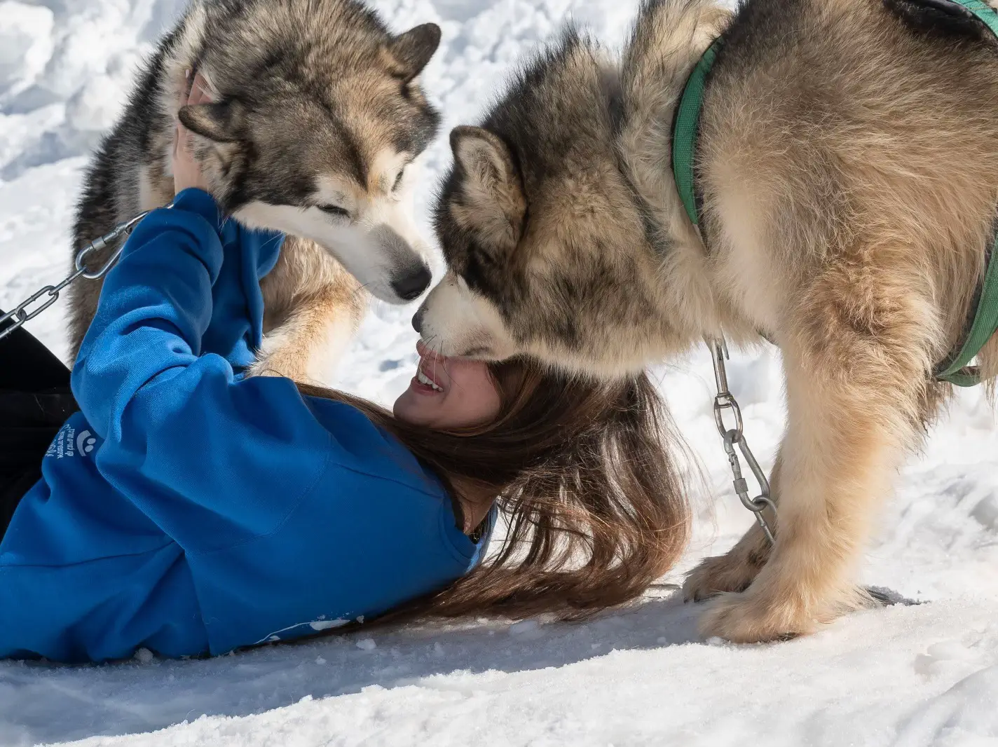 Spreading Hope in the Hermon Mountains 🏔️🐾 | Gallery posted by Pet Times Asia | Lemon8