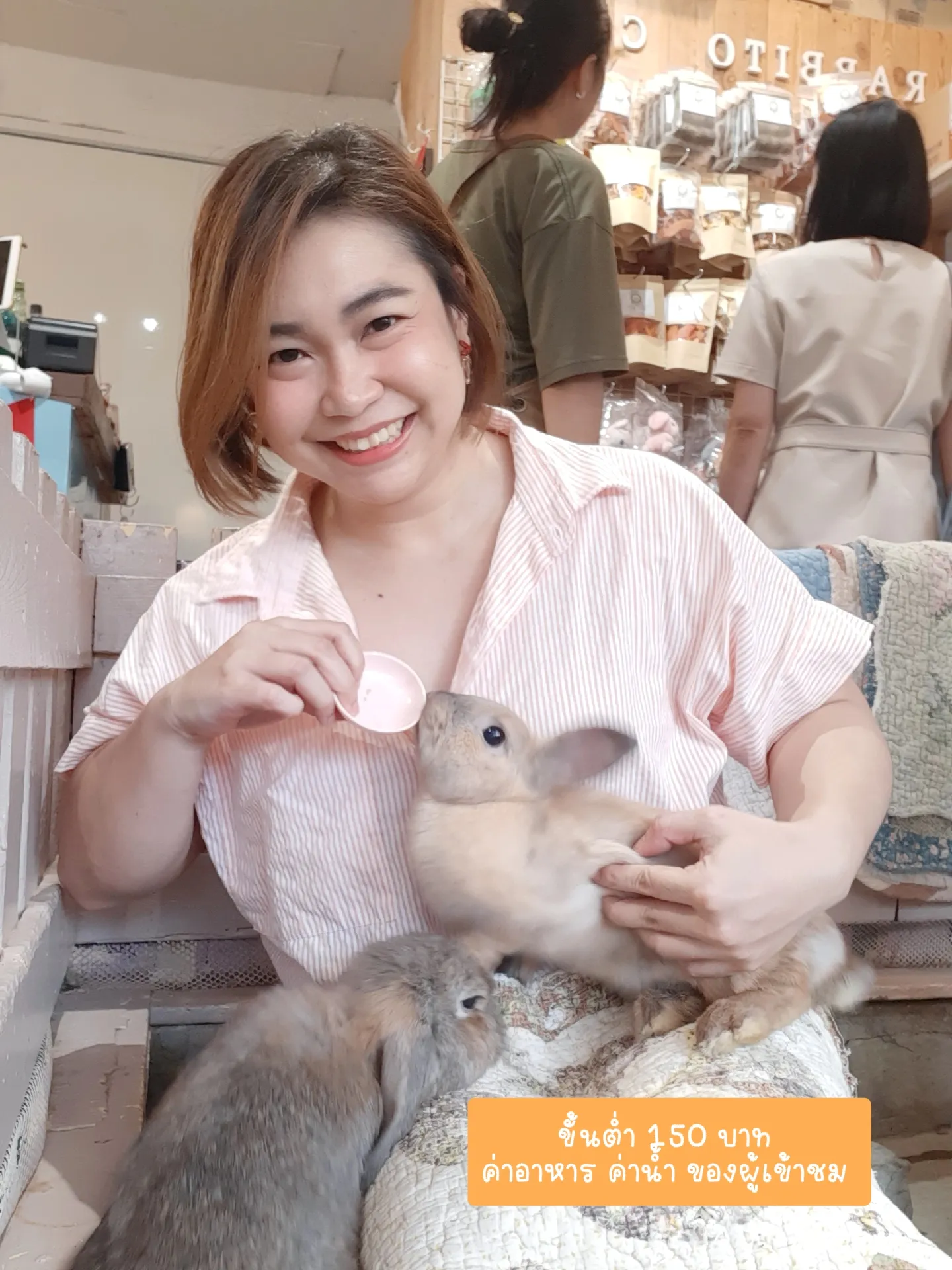 คาเฟ่กระต่าย Rabbito Cafe' สุขุมวิท 101/1 🐰 | แกลเลอรีที่โพสต์โดย Vanda Na Ja | Lemon8