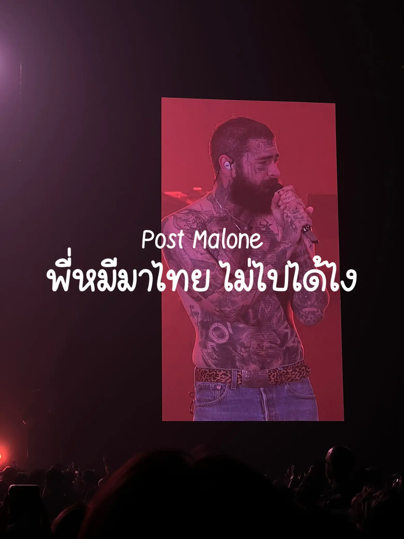 พี่หมีมาไทย ไม่ไปได้ไง | วิดีโอที่เผยแพร่โดย Machingun | Lemon8