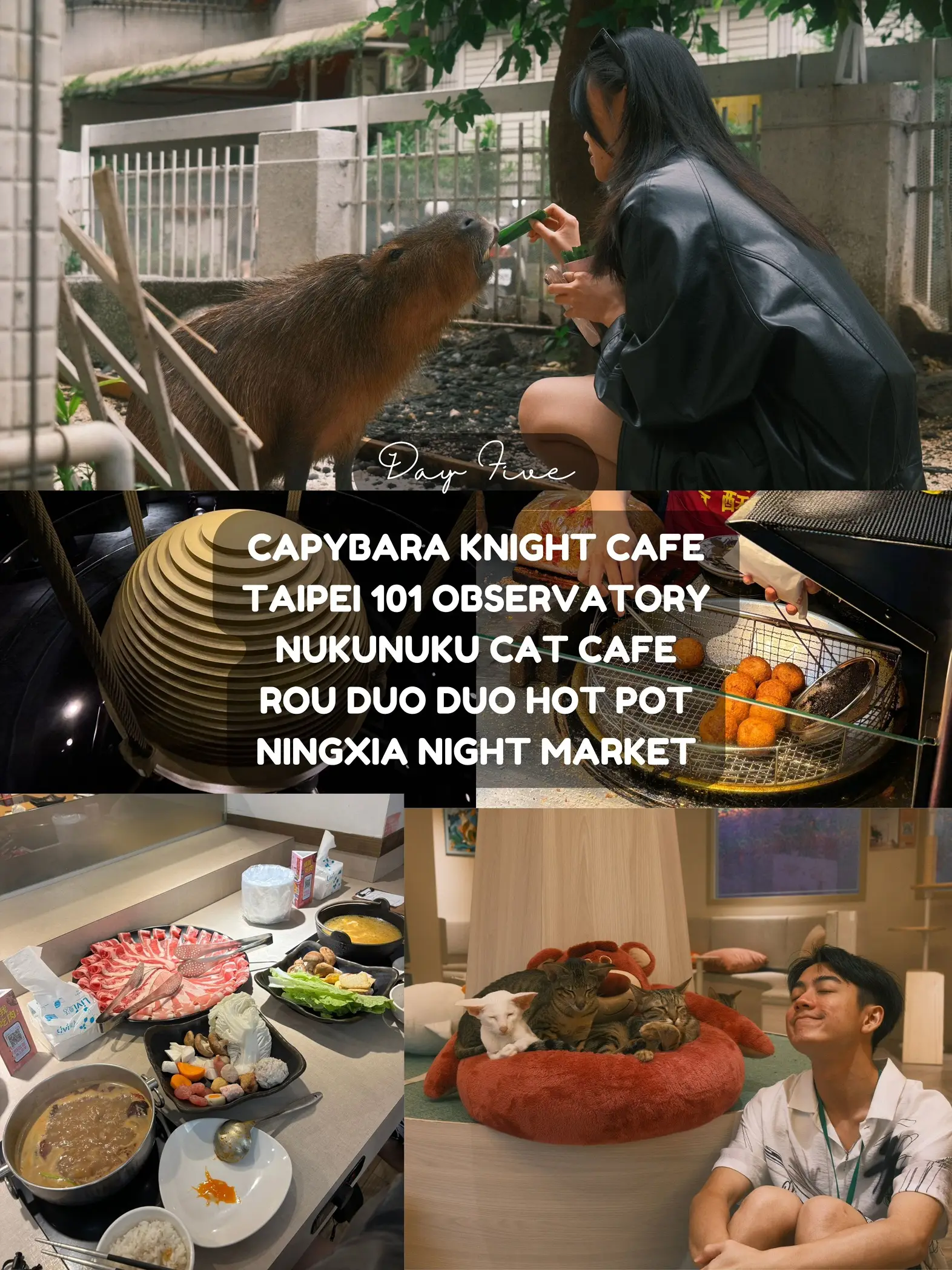 TAIPEI 6D5N ITINERARY - SUNRISE TO NIGHTLIFE 🇹🇼 | Gallery posted by wen ...