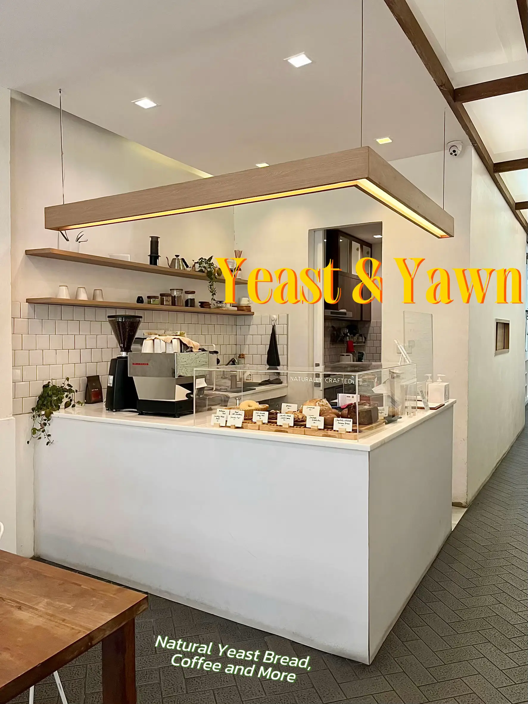 Yeast & Yawn | แกลเลอรีที่โพสต์โดย aarmxs | Lemon8