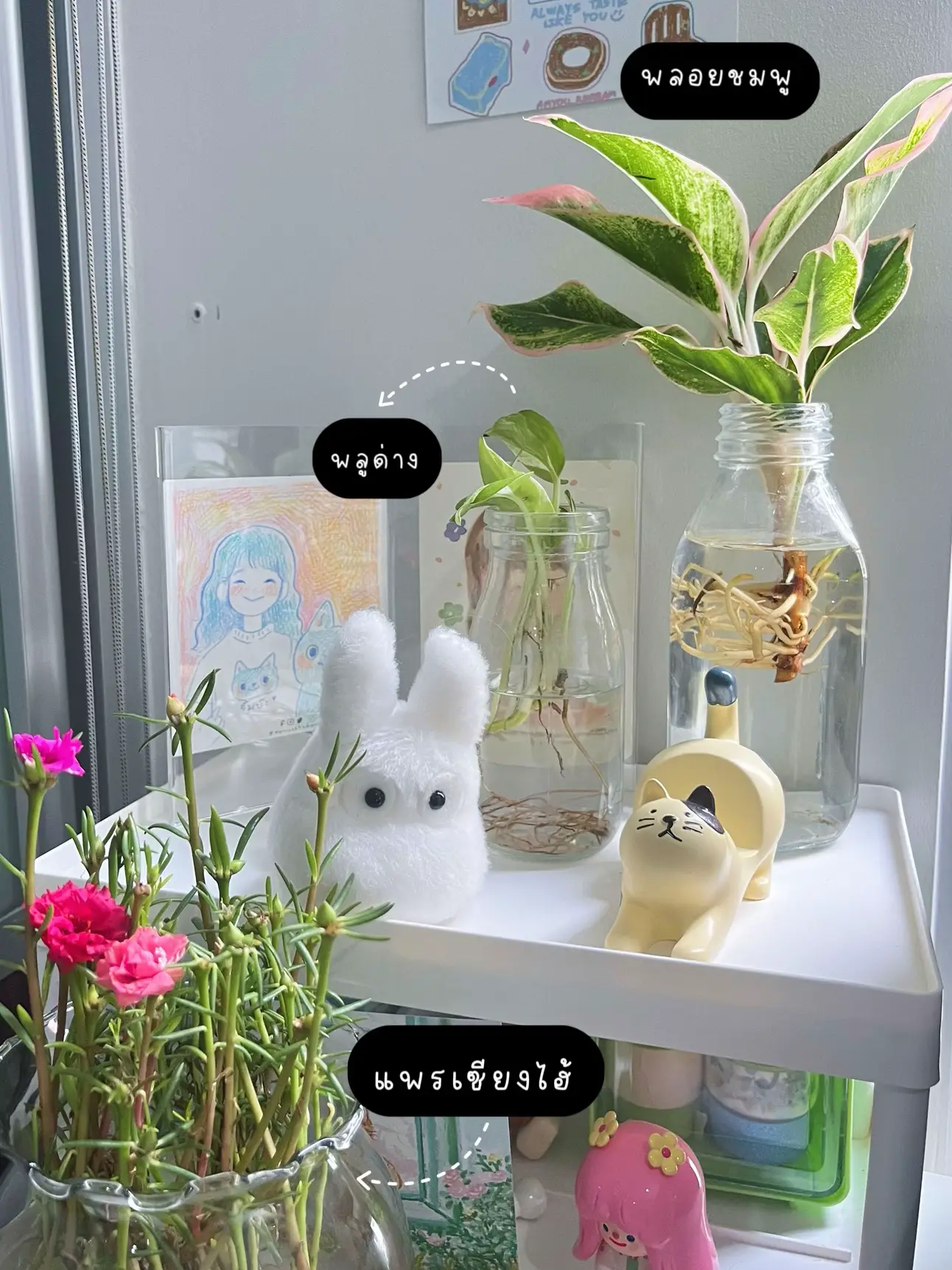 มาเลี้ยงไม้น้ำในบ้านกันเถอะ 🍋🫧 สดชื่นแบบ 100 แกลเลอรีที่โพสต์โดย