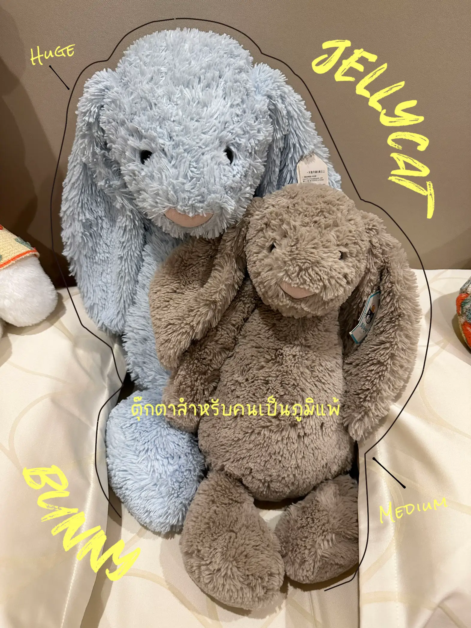 Jellycat bunny collection - การค้นหาใน Lemon8
