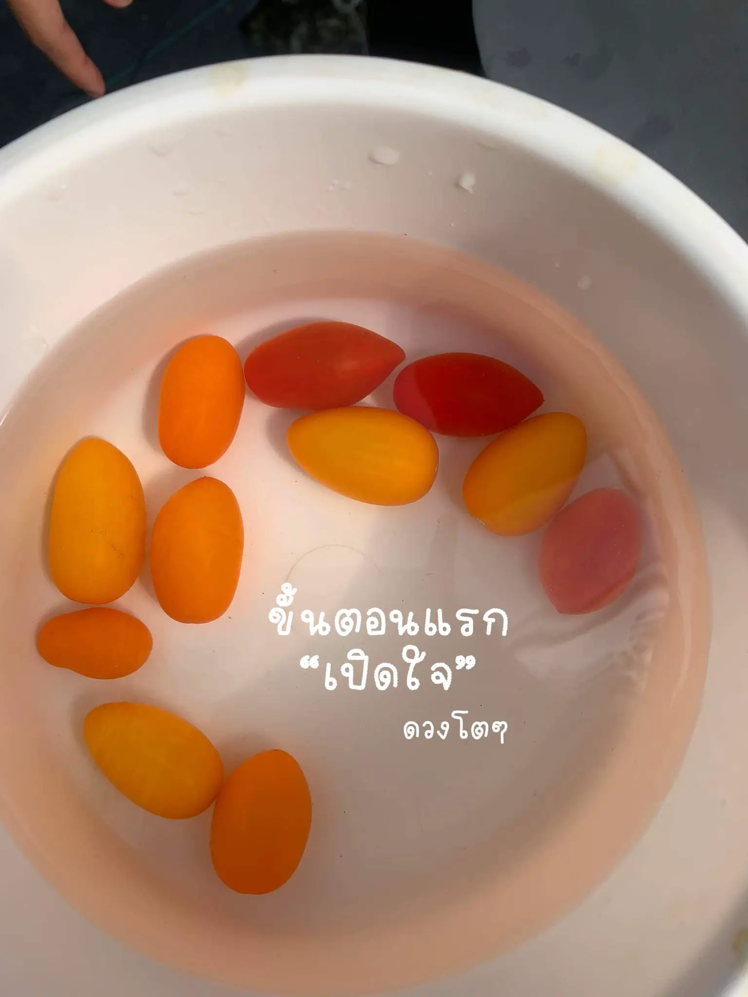 How to ! กินมะเขือเทศ ฉบับคนไม่ชอบสุดๆ | แกลเลอรีที่โพสต์โดย kn_vatch ...
