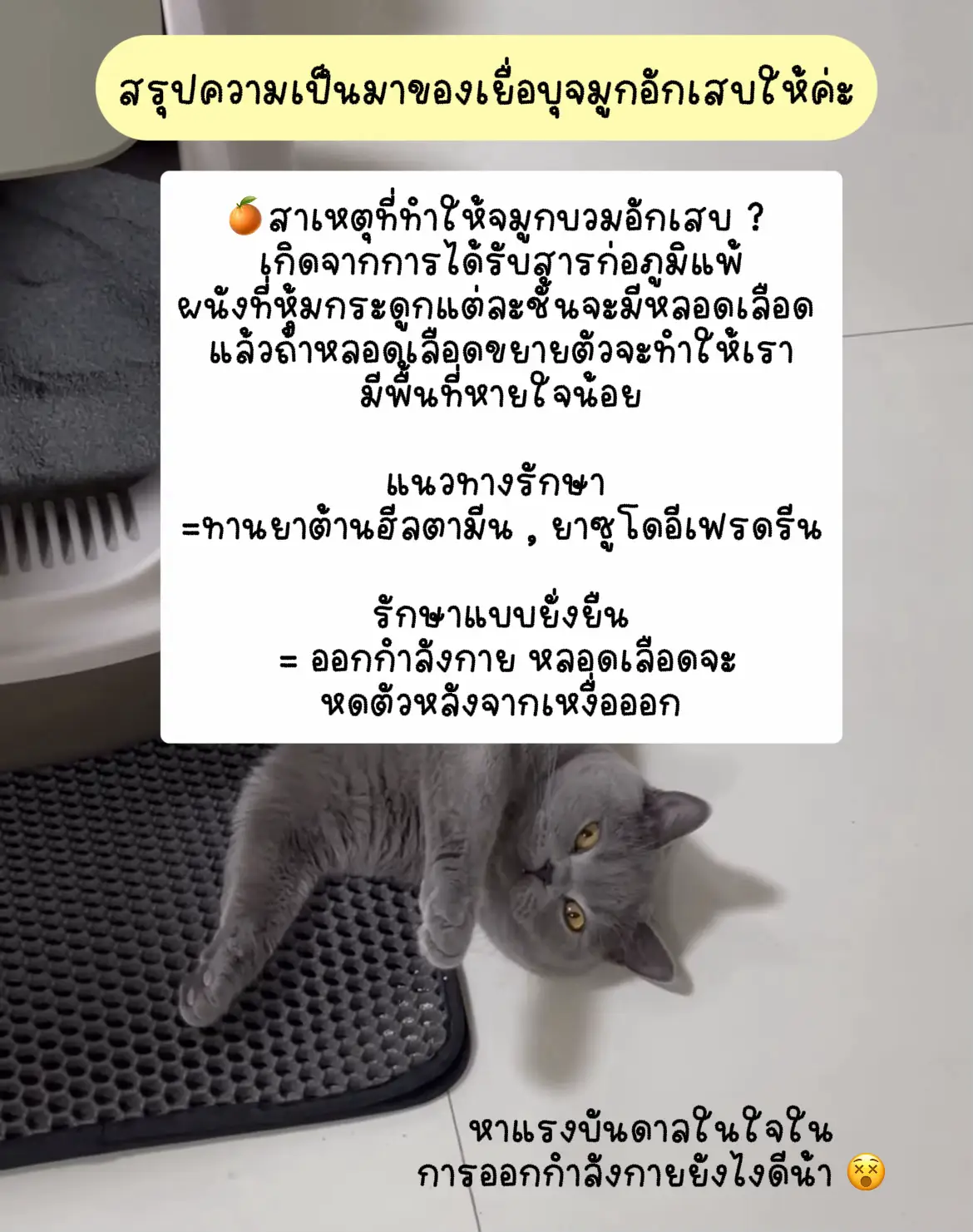 ลดบวม Proctase-P คือ ยา แก้ อะไร - การค้นหาใน Lemon8