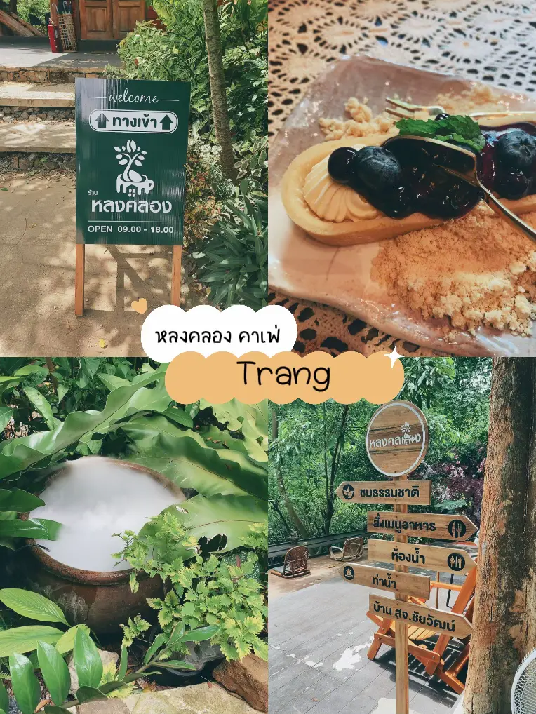 🍰 หลงคลอง คาเฟ่ ☕️ | แกลเลอรีที่โพสต์โดย Mo KB | Lemon8