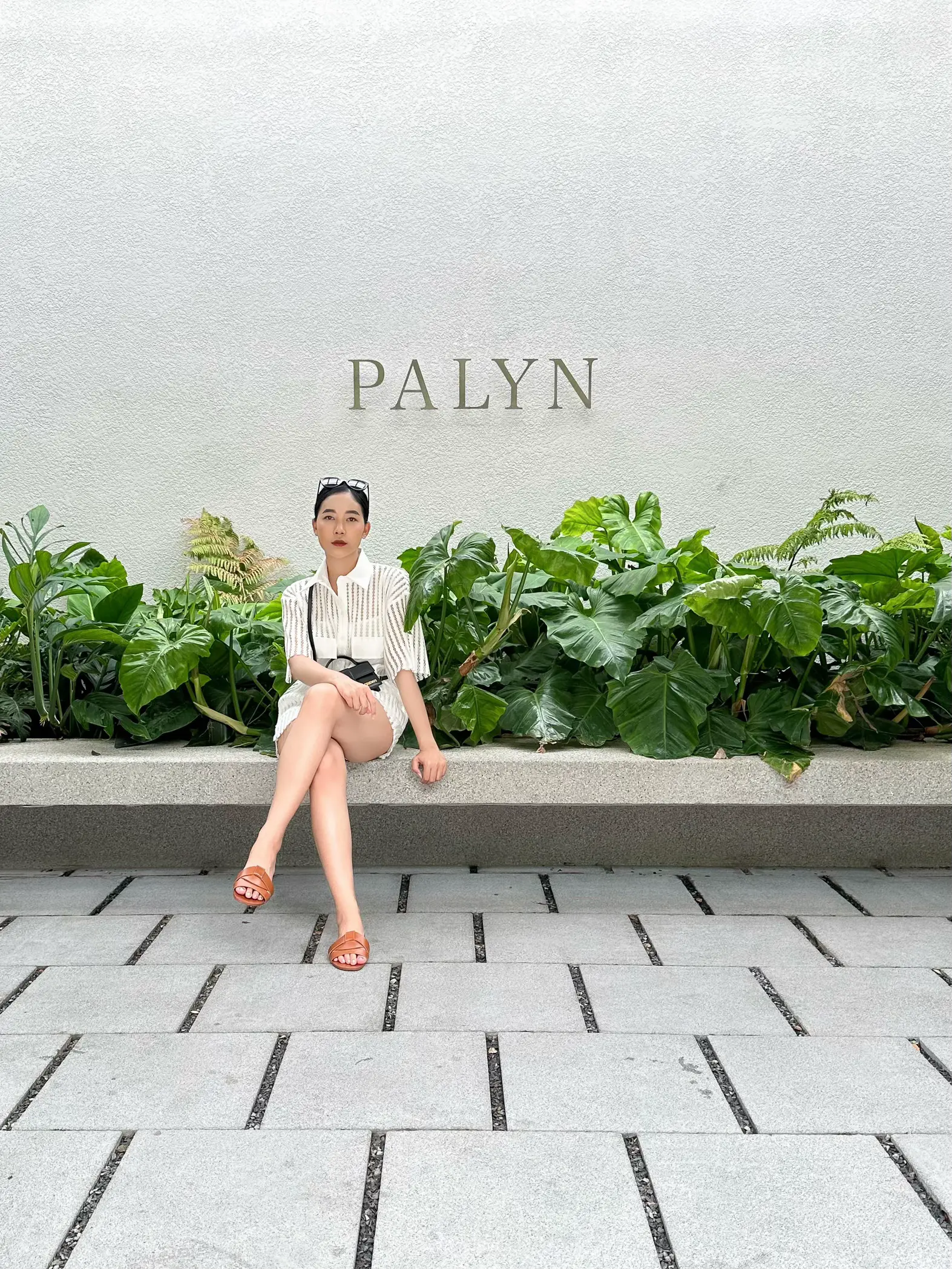 Palyn cafe & Eatery | แกลเลอรีที่โพสต์โดย wanthnyrt | Lemon8