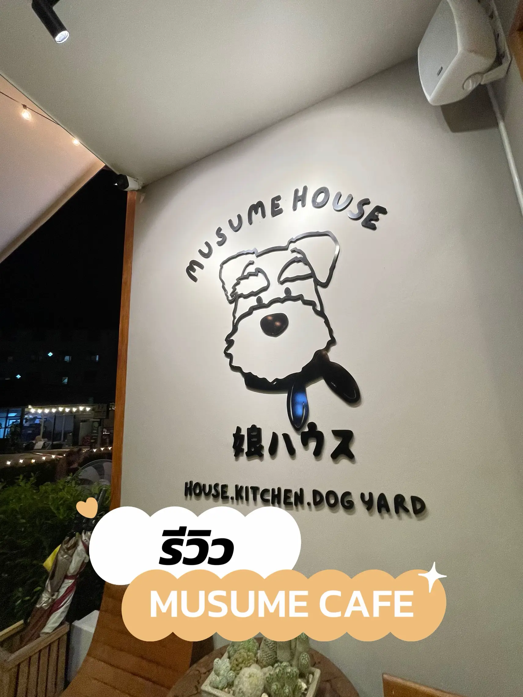 MUSUME CAFE | แกลเลอรีที่โพสต์โดย 🅟🅔🅐🅡 🌈 🍐 | Lemon8