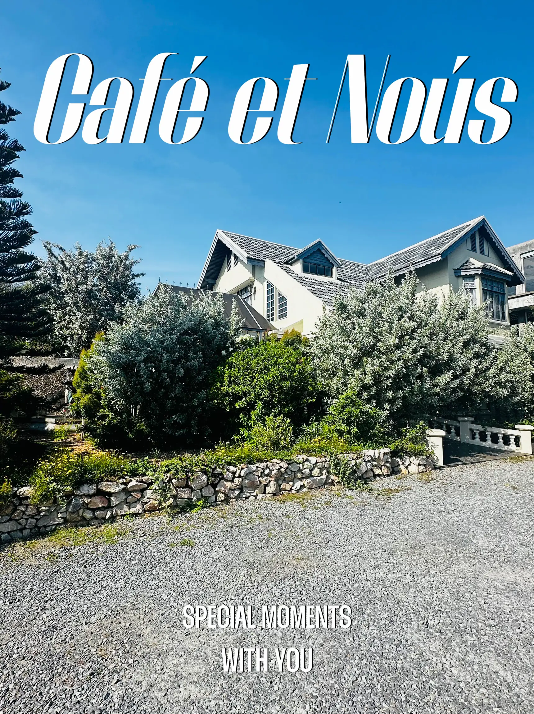 Café et Noús | แกลเลอรีที่โพสต์โดย 🐯!Fang A.Asana. | Lemon8