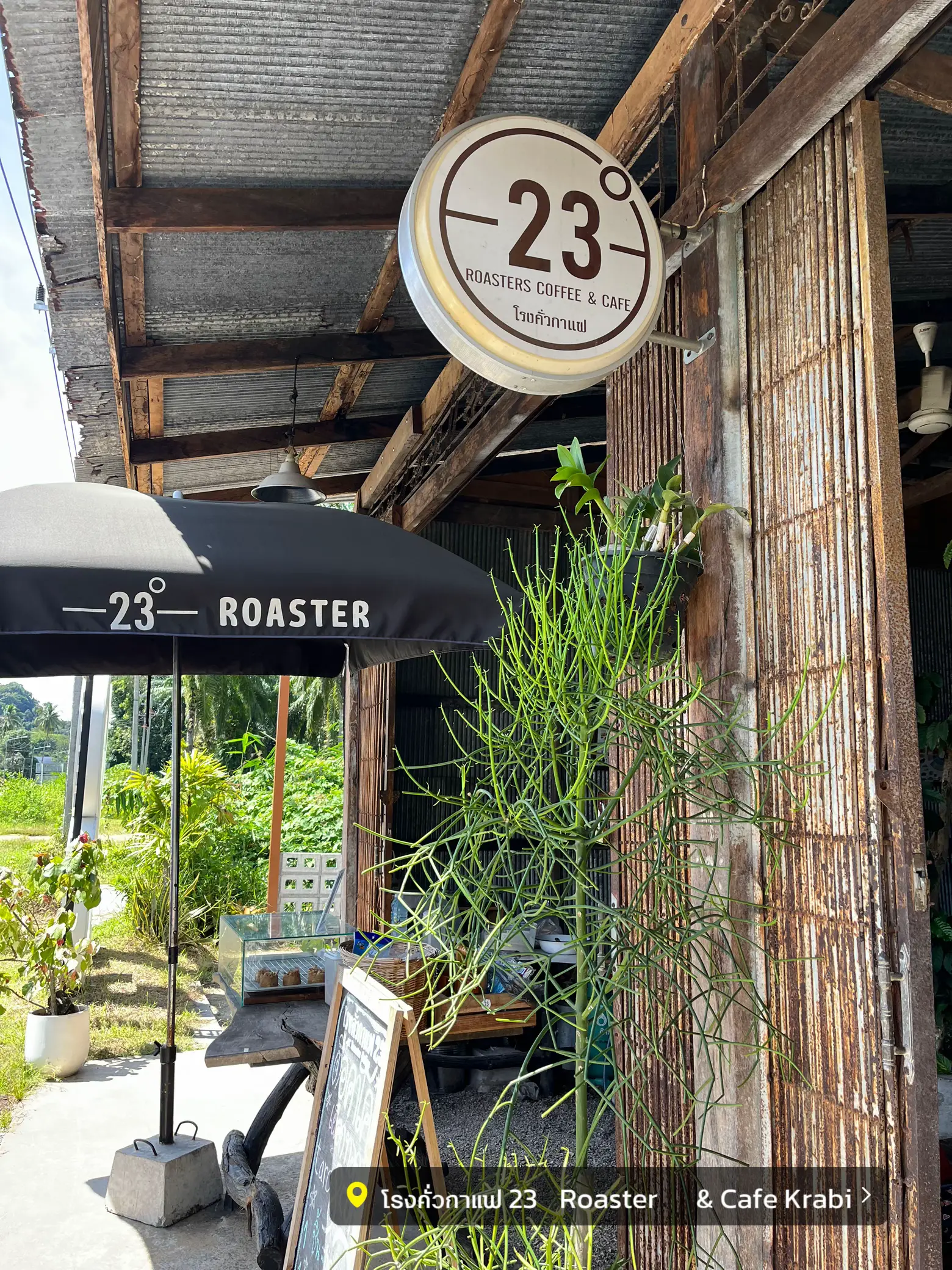 โรงคั่วกาแฟดอยช้าง - การค้นหาใน Lemon8