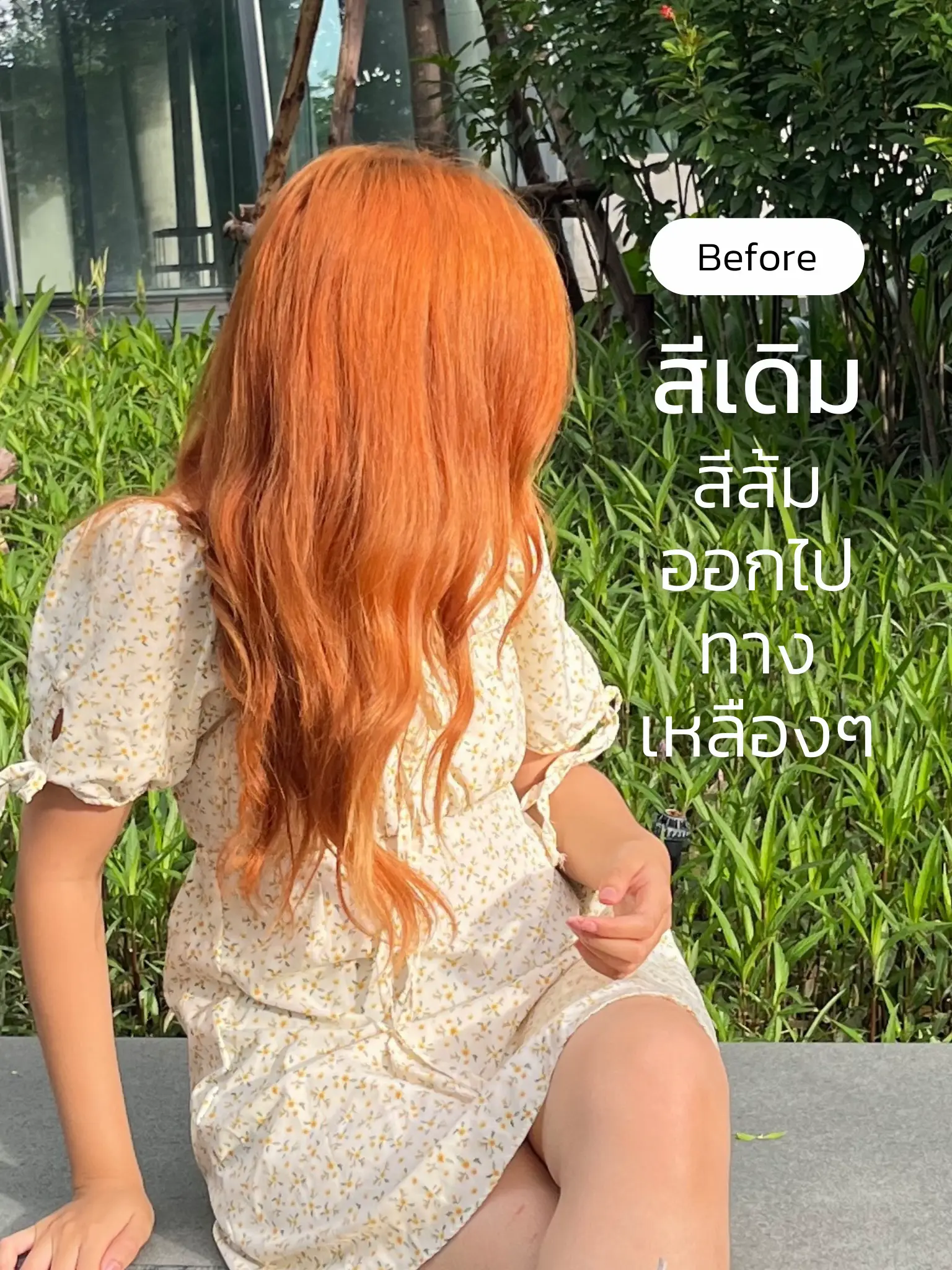 Dcash #499 ใครสายเกาหลีต้องยอมสีนี้ !! | แกลเลอรีที่โพสต์โดย Kkacha | Lemon8