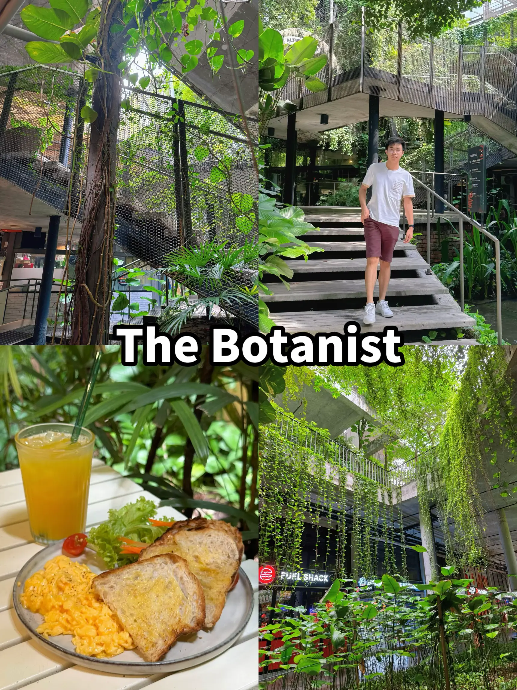 🇲🇾5 Nice View Cafes for Dating | Galeri disiarkan oleh Wen Kai | Lemon8