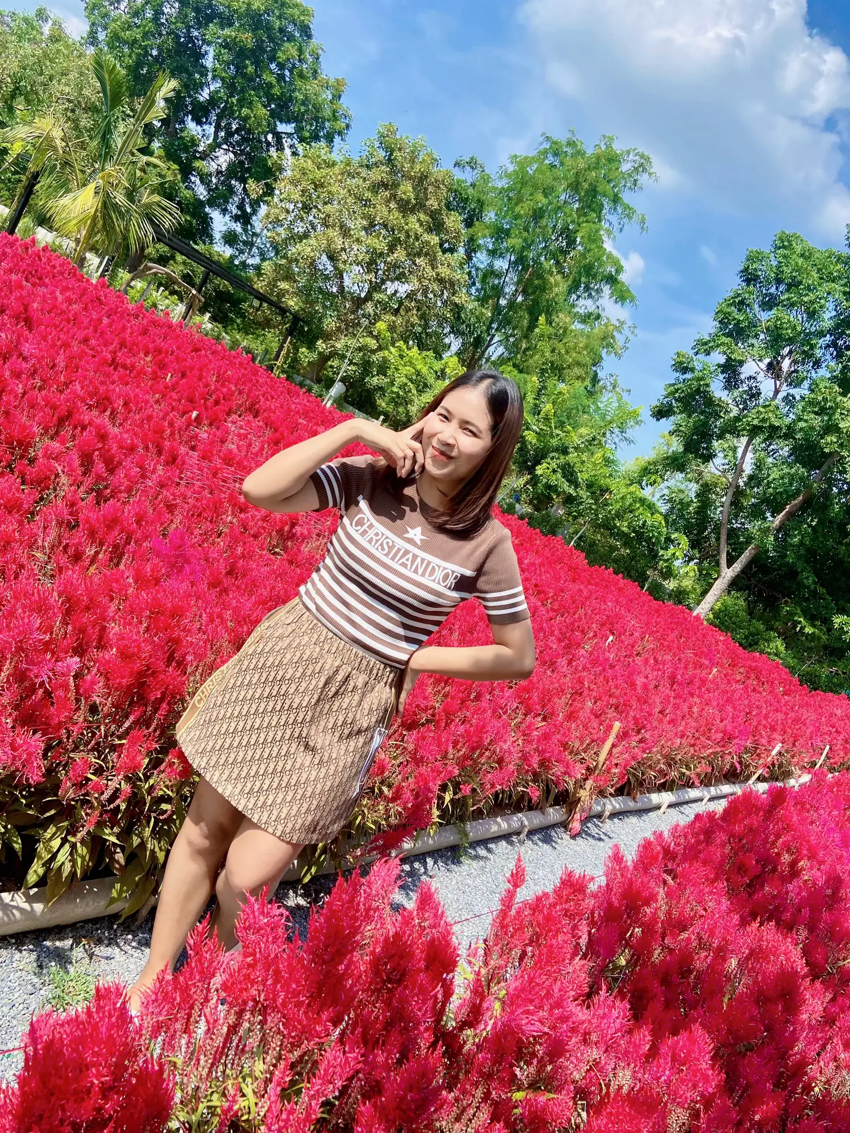 DD Flower Farm | แกลเลอรีที่โพสต์โดย 𝐓𝐡𝐢𝐜𝐡𝐚 •ᴥ• | Lemon8