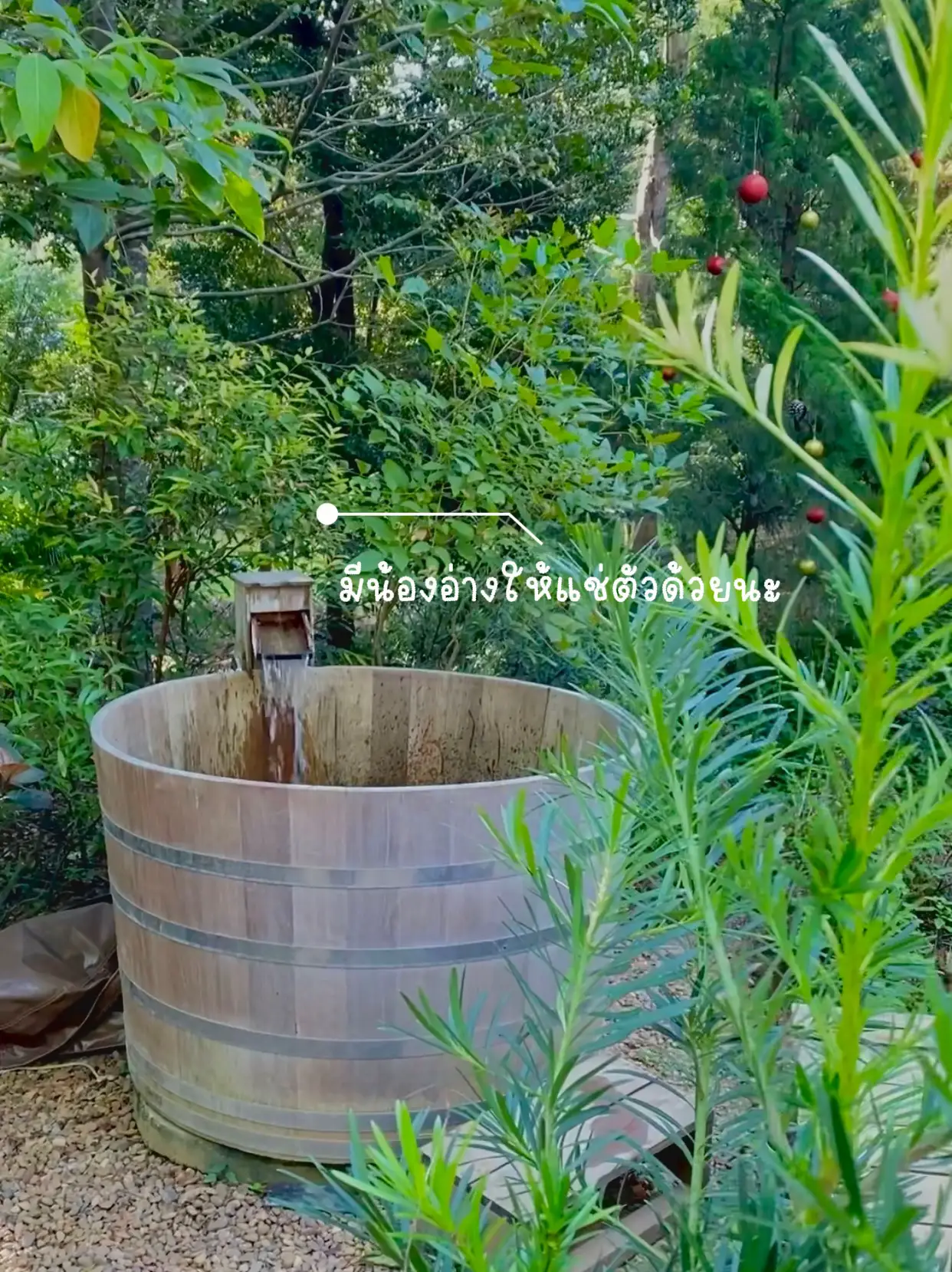 The birder's lodge Khaoyai | แกลเลอรีที่โพสต์โดย NKK_XX98 | Lemon8