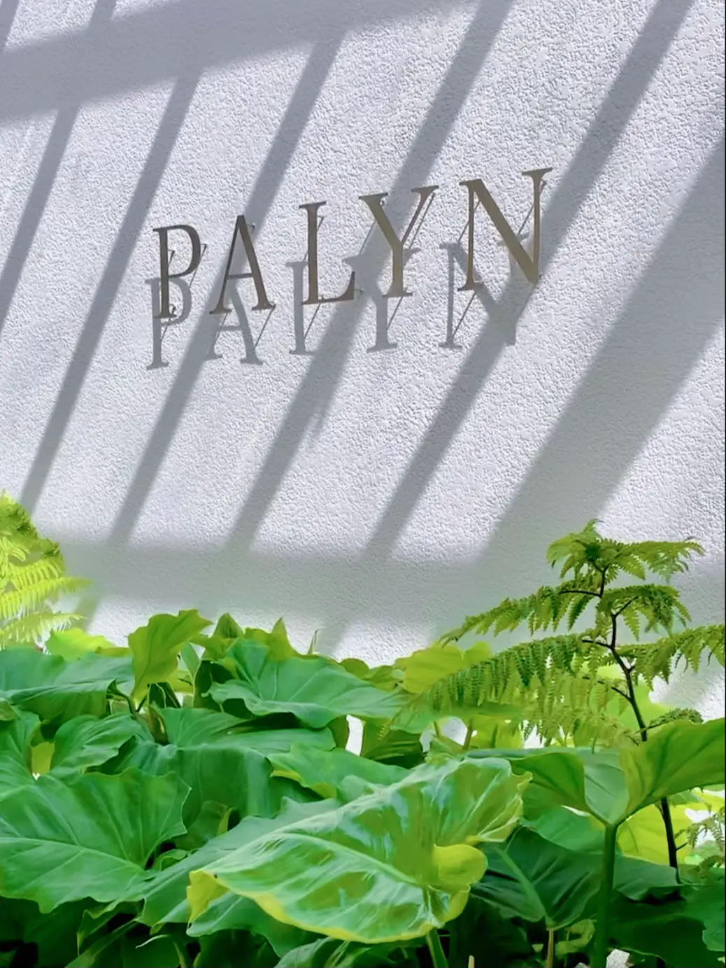 PALYN CAFE แสมสาร สัตหีบ | แกลเลอรีที่โพสต์โดย คุนนุ้ย🤎 | Lemon8