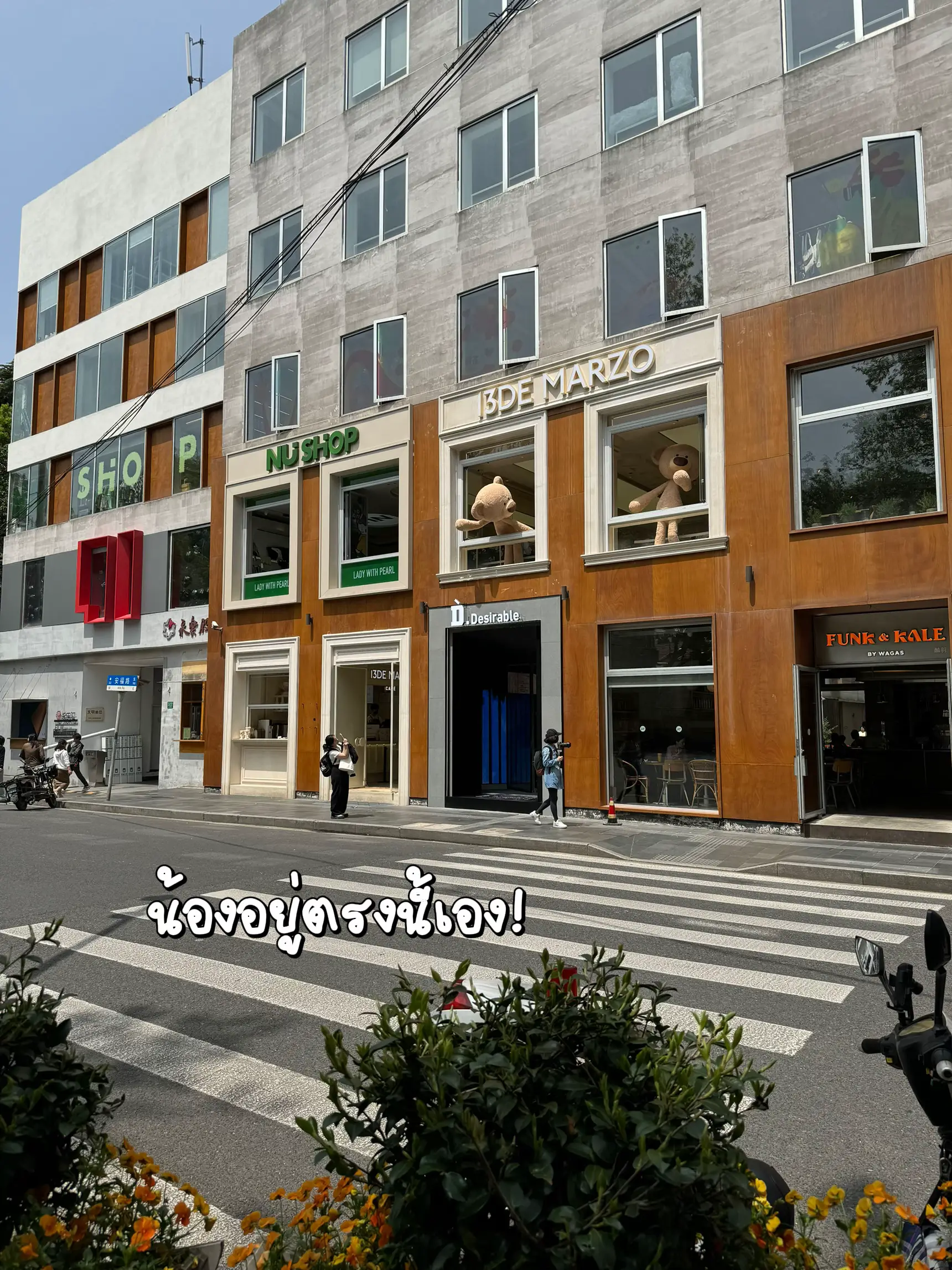 Must-Go Bear Cafe 13DE MARZO 🧸🥤 (Anfu Road, Shanghai) | Gallery posted by กินเที่ยวชอป💖 | Lemon8