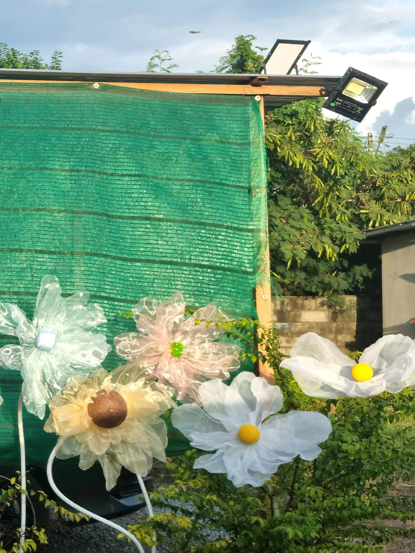 ก้ามปูท่อ Pvc - การค้นหาใน Lemon8