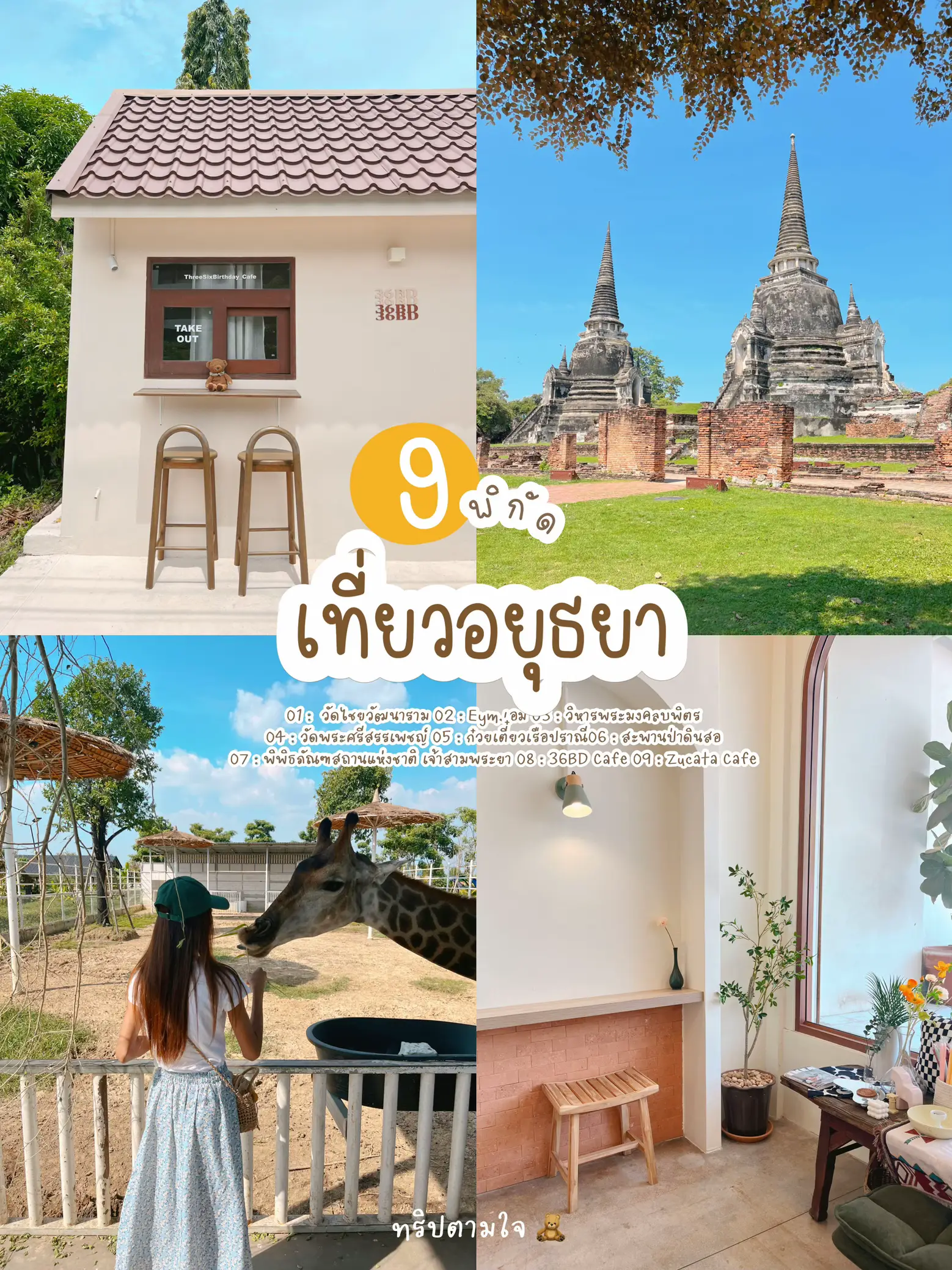 🚗 1 วันเเที่ยวอยุธยา ไปไหนดี? | แกลเลอรีที่โพสต์โดย TripTamJai | Lemon8