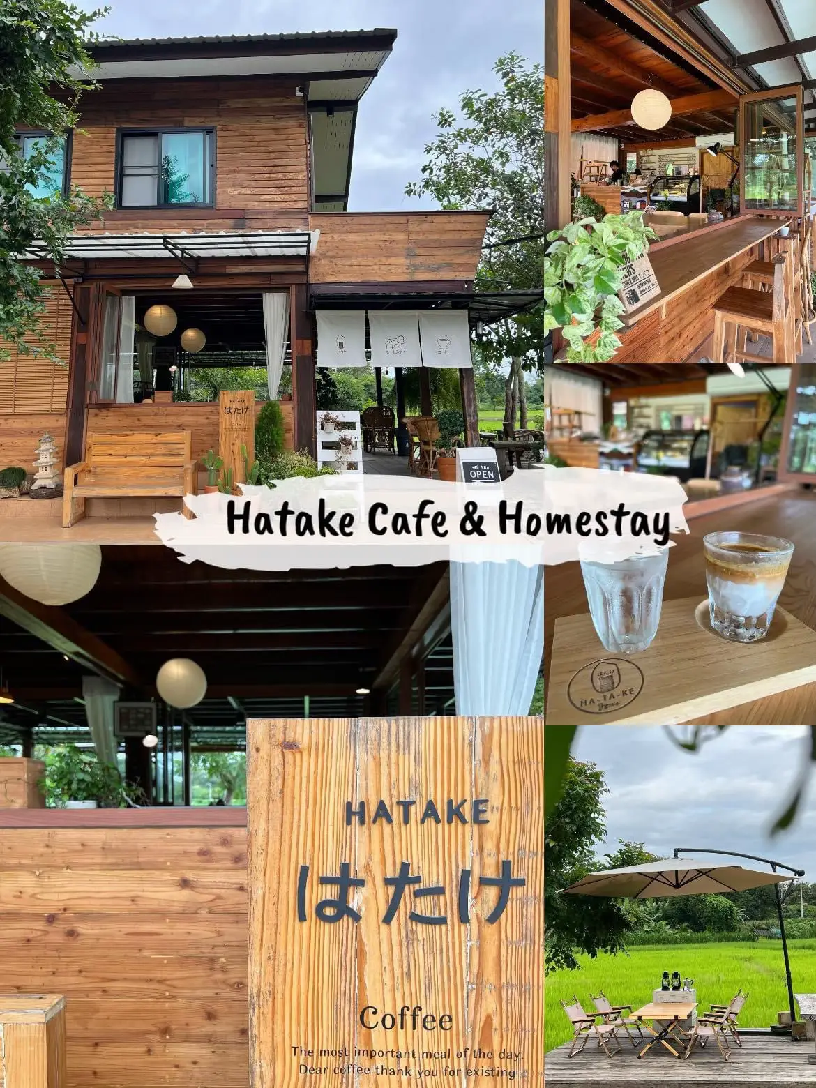 Hatake Cafe & Homestay ฮาตาเกะ คาเฟ่ และ โฮมสเตย์ | แกลเลอรีที่โพสต์โดย ไปให้สาแก่ใจ 💕 | Lemon8