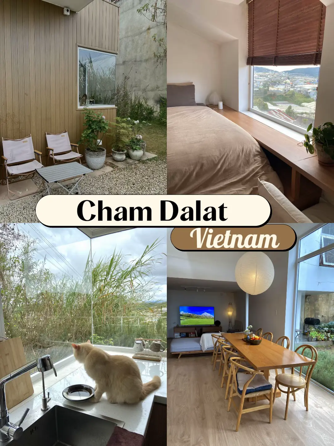 Cham.Dalat ที่พักดาลัดสุดคิวท์💖 | แกลเลอรีที่โพสต์โดย Nutthax | Lemon8