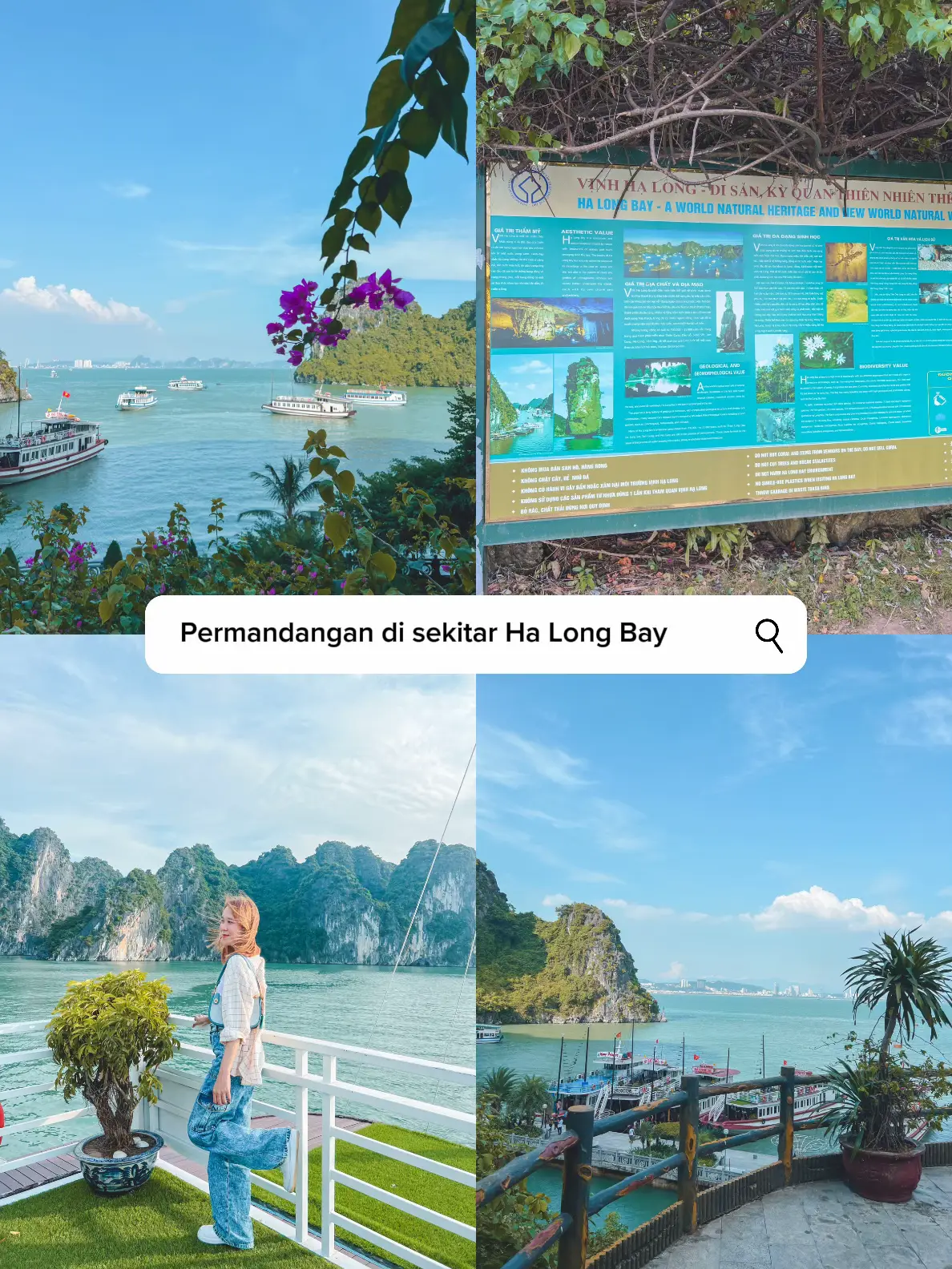 ล่องเรือใบเที่ยว The Bay 101 ในช่วงกลางคืน - Carian Lemon8