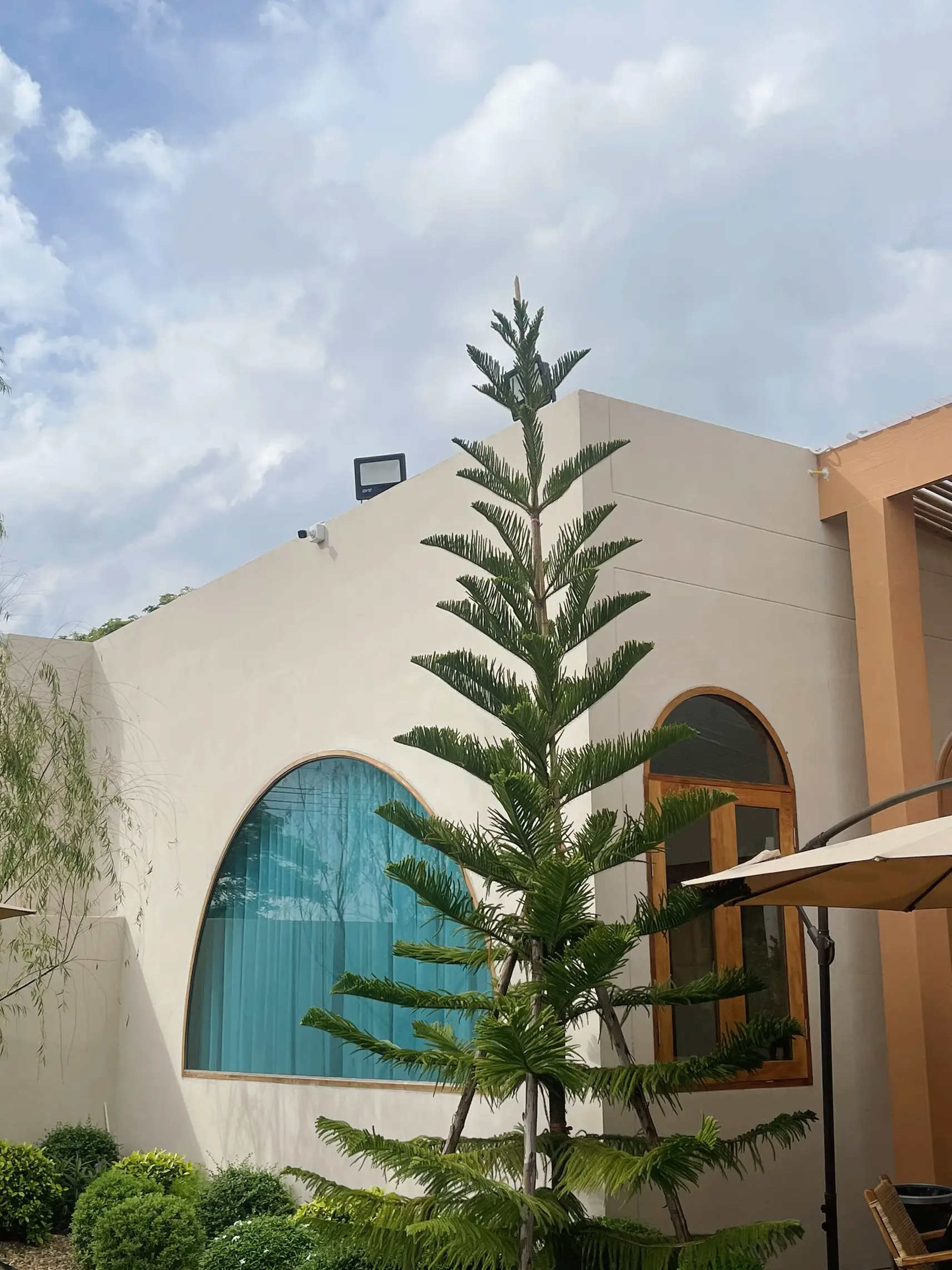 CONTINUE.CAFE | คาเฟ่เปิดใหม่ปทุมธานี 📸 | แกลเลอรีที่โพสต์โดย Preawjan ...