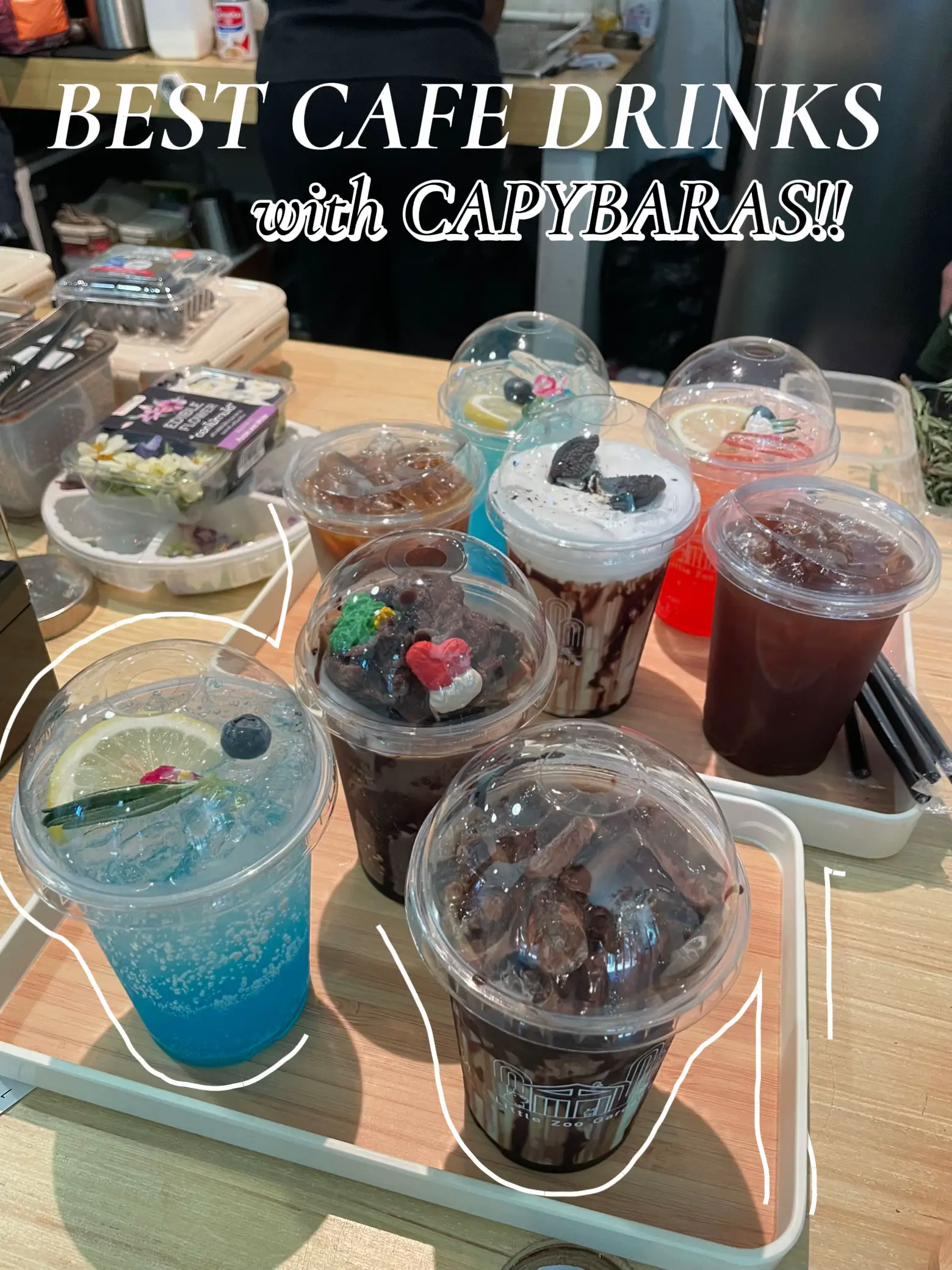 capybaras + BEST drinks in bangkok | Gallery posted by randelle | Lemon8