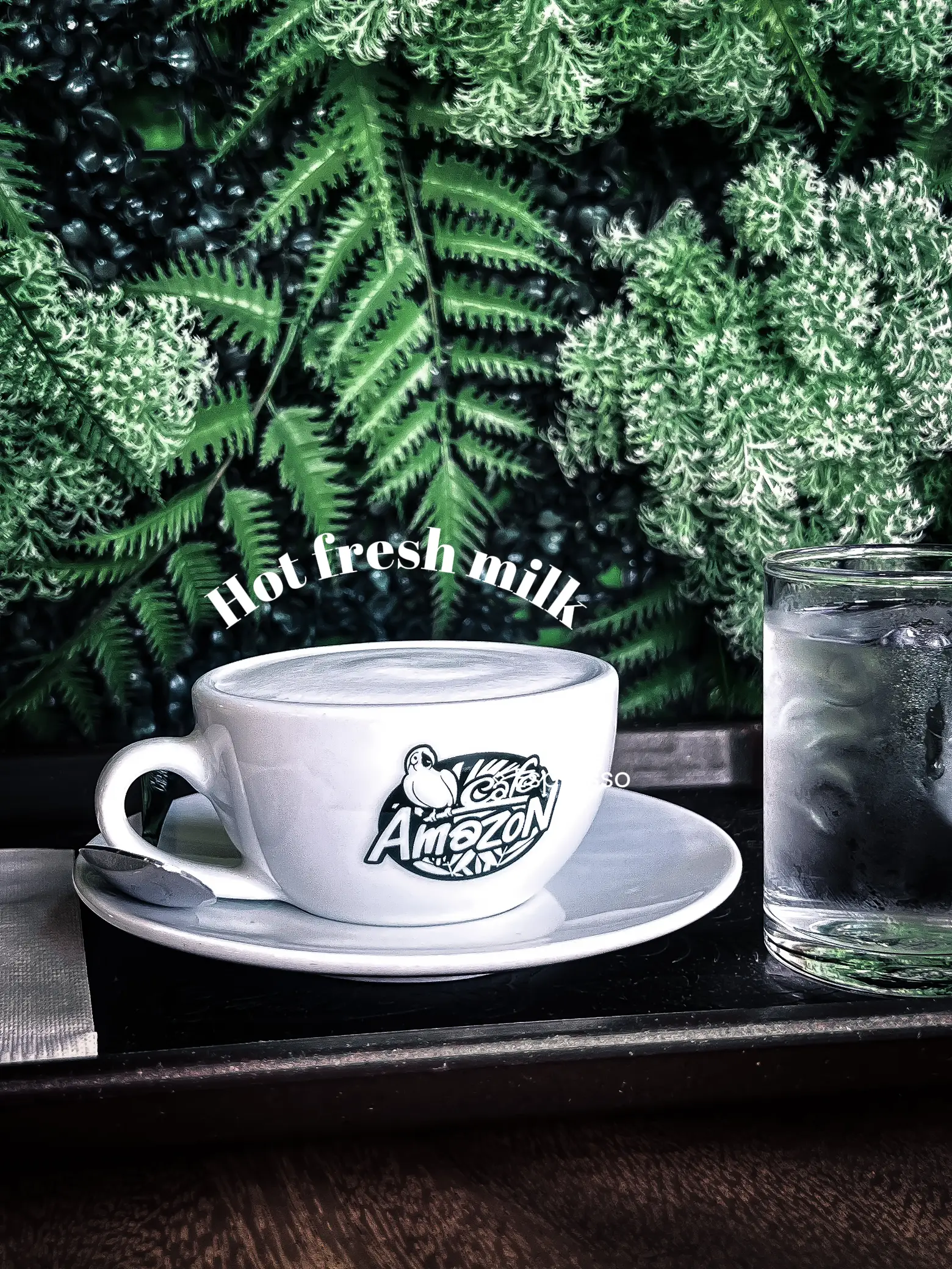 Hot fresh milk | แกลเลอรีที่โพสต์โดย Kook Kai | Lemon8