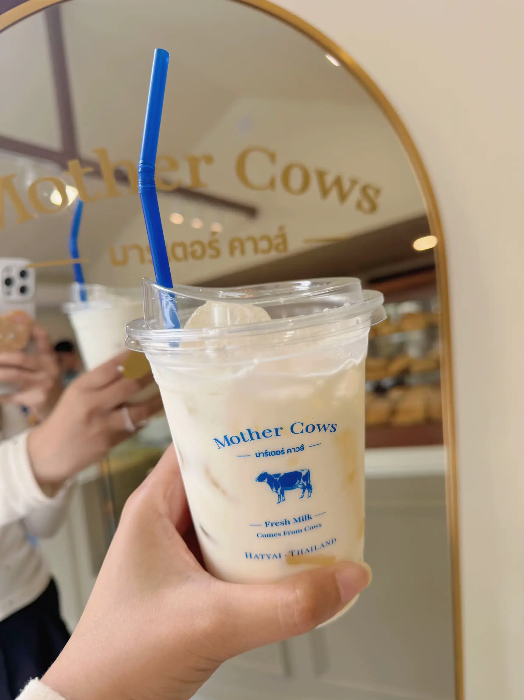 Mother Cows.เมืองทองธานี 🍶🤍🐄💙 | แกลเลอรีที่โพสต์โดย Puifaikamon | Lemon8