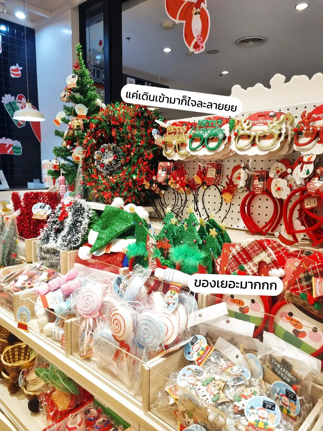 🌲ของตกแต่งเทศกาล 𝐜𝐡𝐫𝐢𝐬𝐭𝐦𝐚𝐬 ที่ Moshi Moshi🎅🏻 | แกลเลอรีที่โพสต์โดย ...