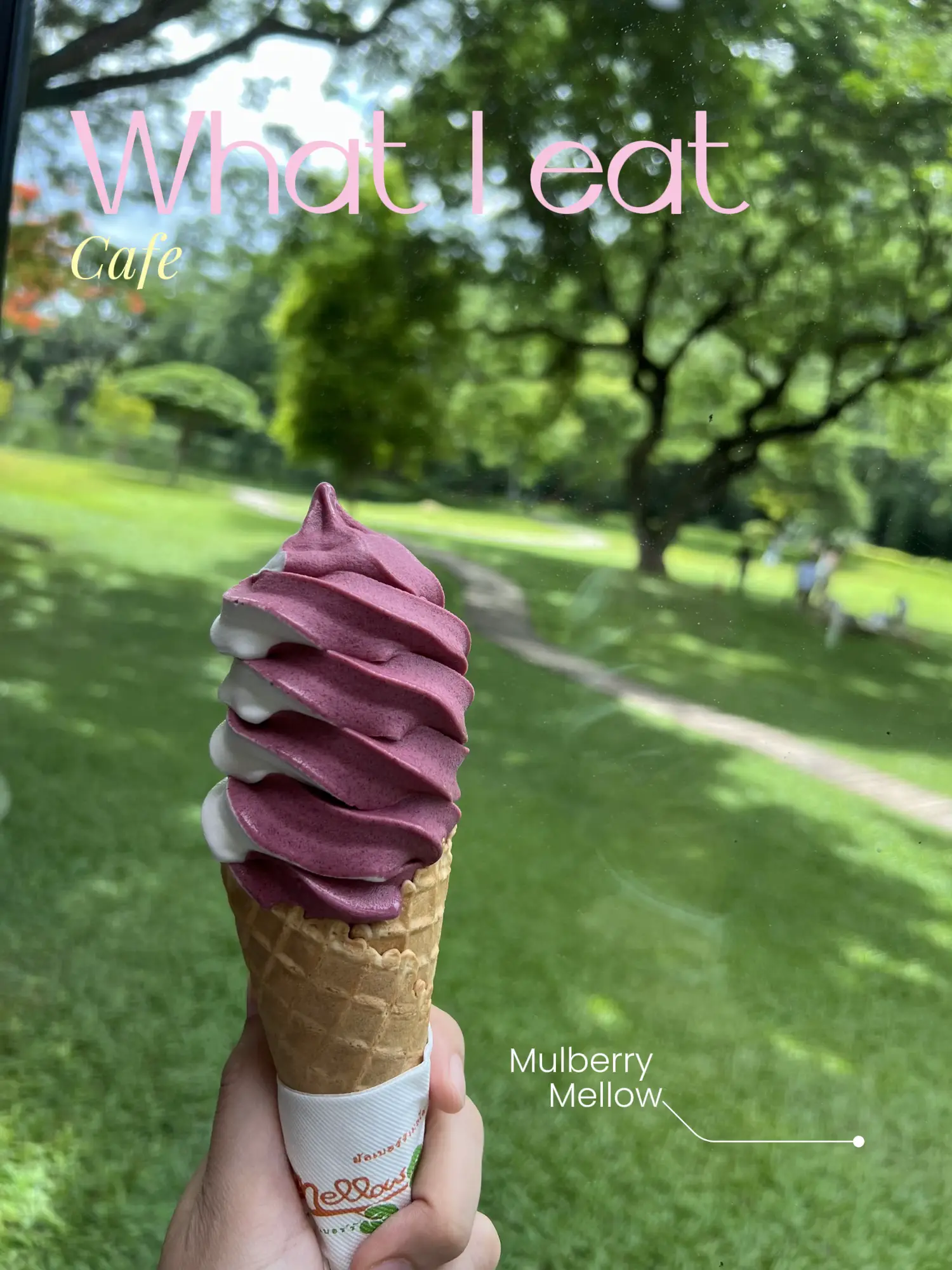 Mulberry Mellow Kanchanaburi💚🌿🌱 | วิดีโอที่เผยแพร่โดย HappyGirl💙 | Lemon8