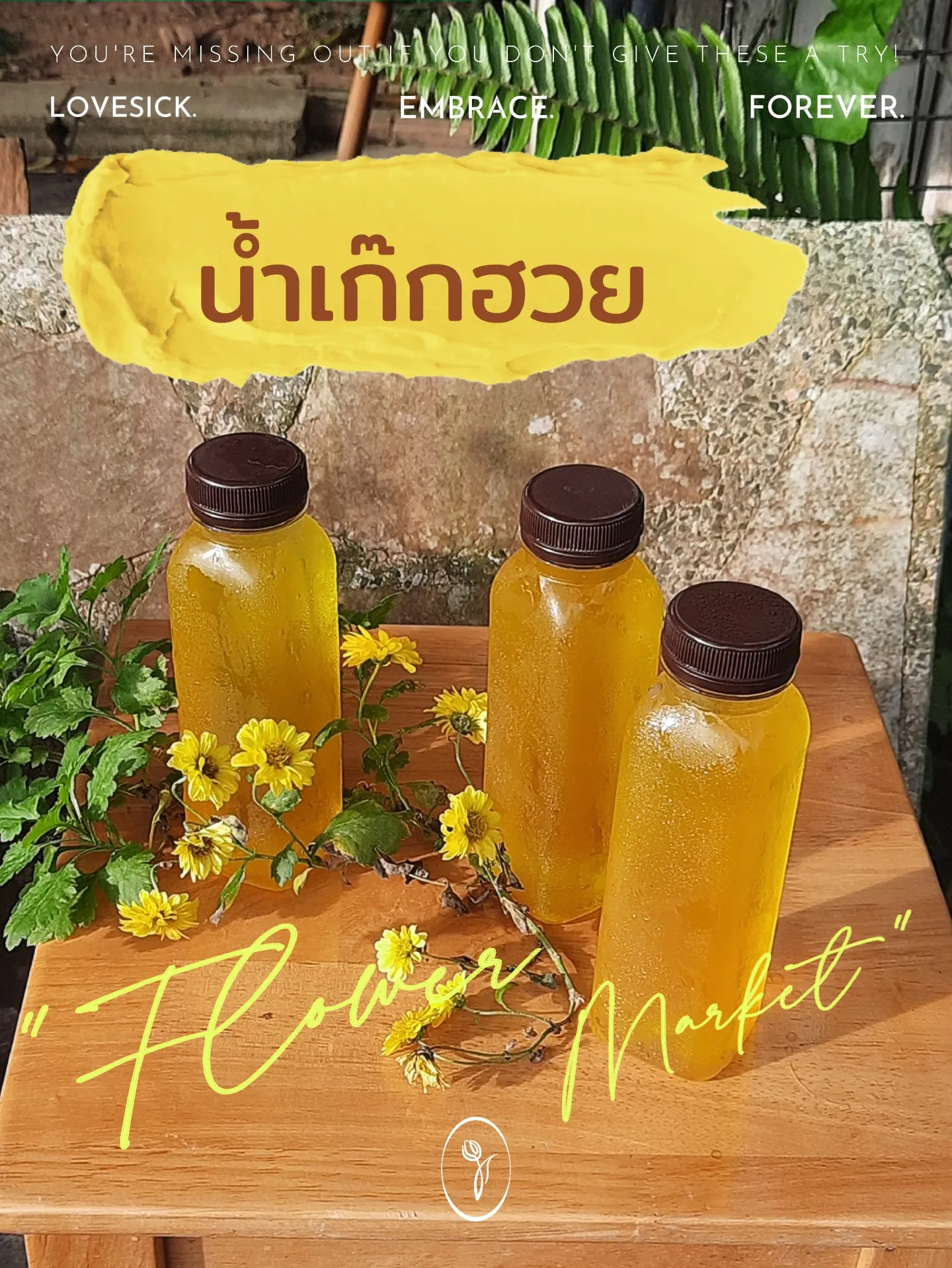 น้ำเก๊กฮวย | แกลเลอรีที่โพสต์โดย ป้าเม่น ML | Lemon8