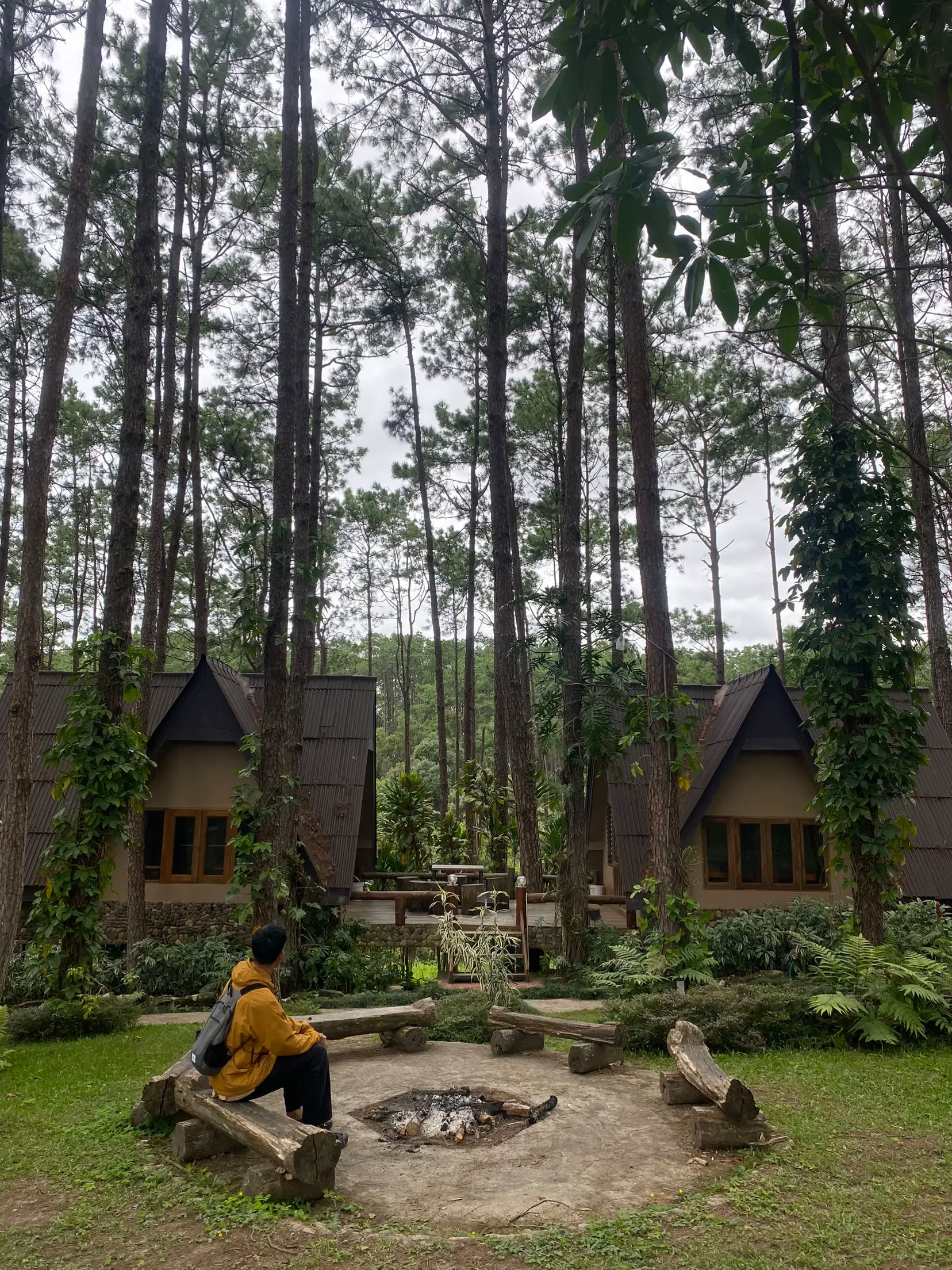 ที่พักกลางป่าสน จ.เชียงใหม่ 🏡💨🌲 | แกลเลอรีที่โพสต์โดย ewery.pump | Lemon8