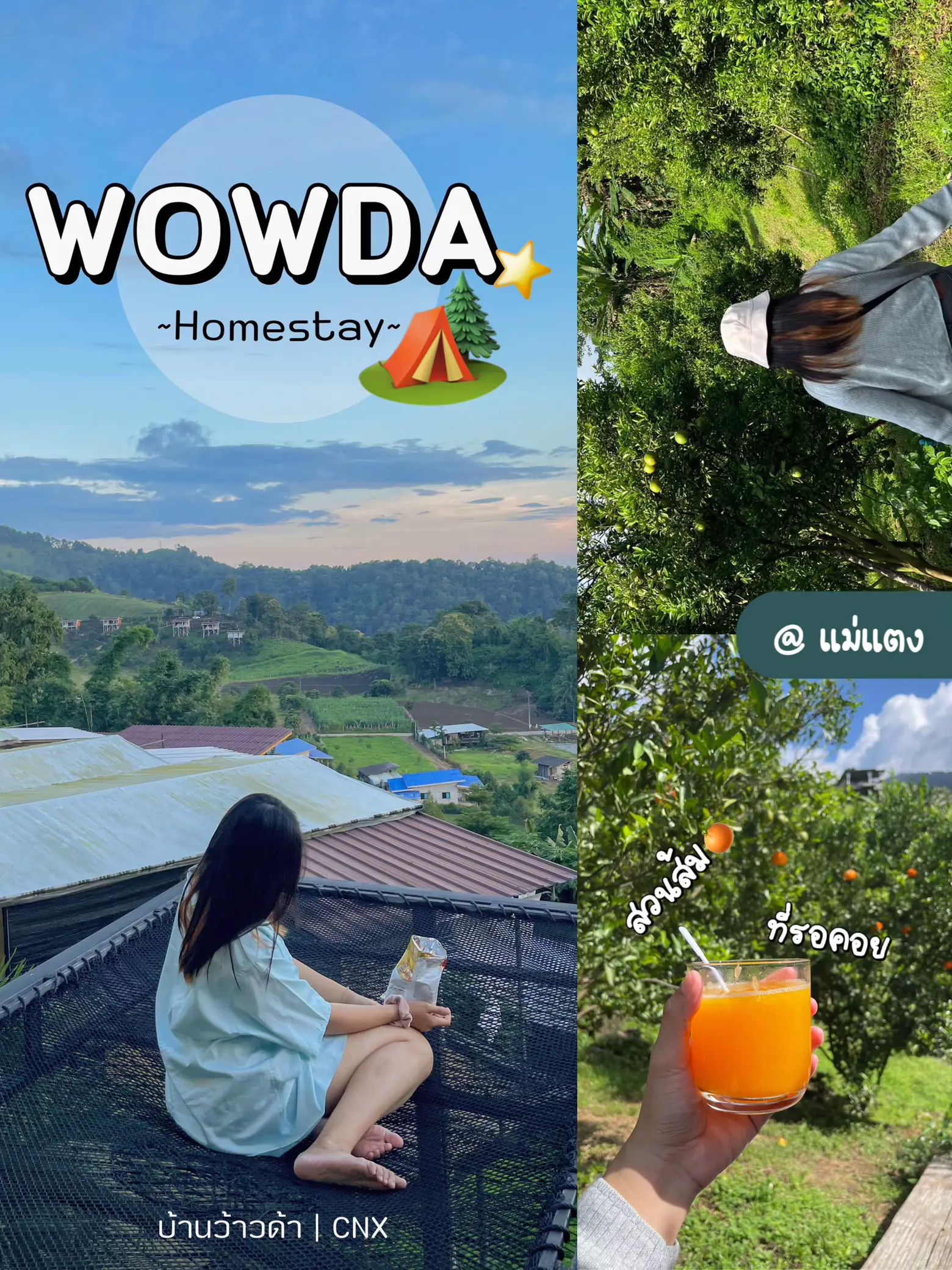 ที่พักเชียงใหม่ เที่ยวสวนส้ม ver.ไม่มีรถส่วนตัว🍊⛰️ | แกลเลอรีที่โพสต์โดย Ornnpy♡´･ᴗ･`♡ | Lemon8