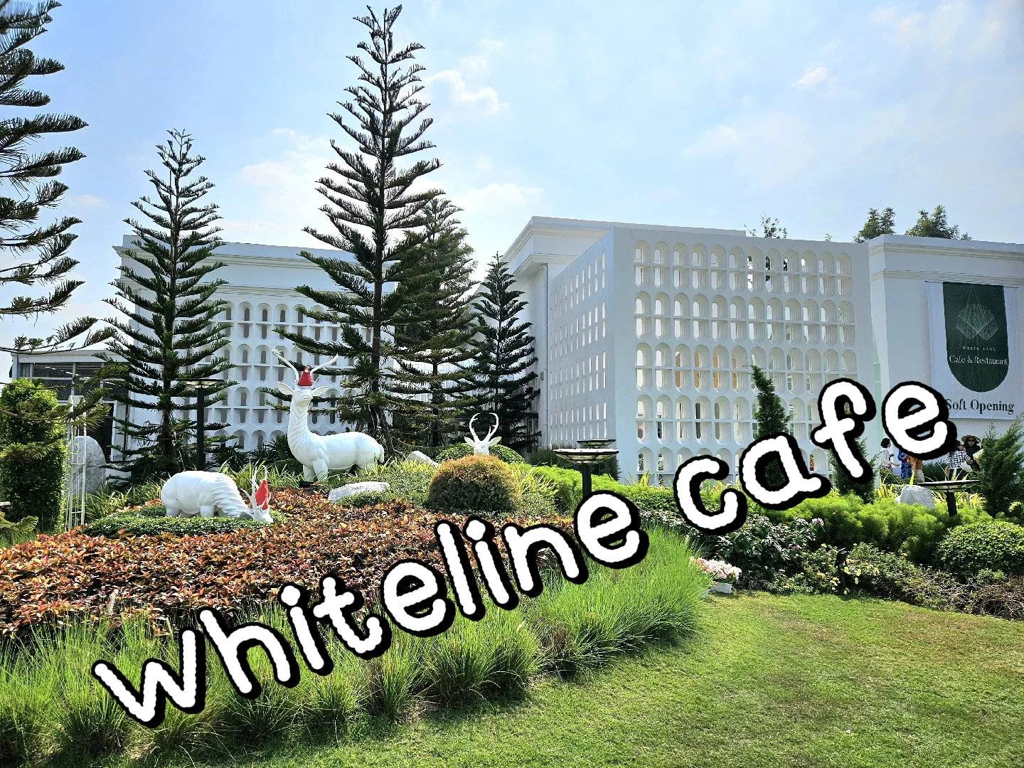 Whiteline cafe | แกลเลอรีที่โพสต์โดย madam.soji | Lemon8